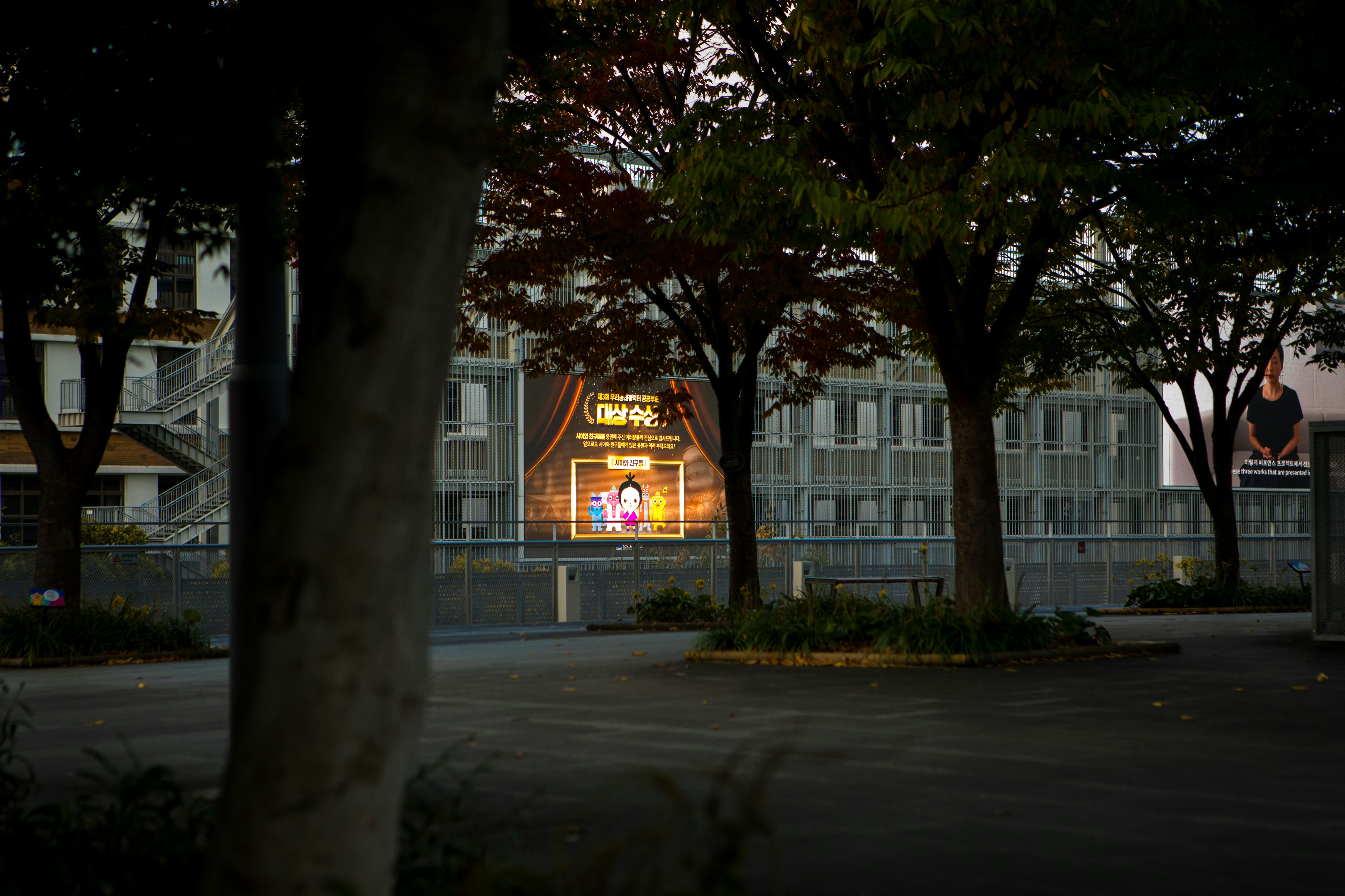 Vibrant storefront glows warmly in an urban park, framed by silhouetted trees at dusk.