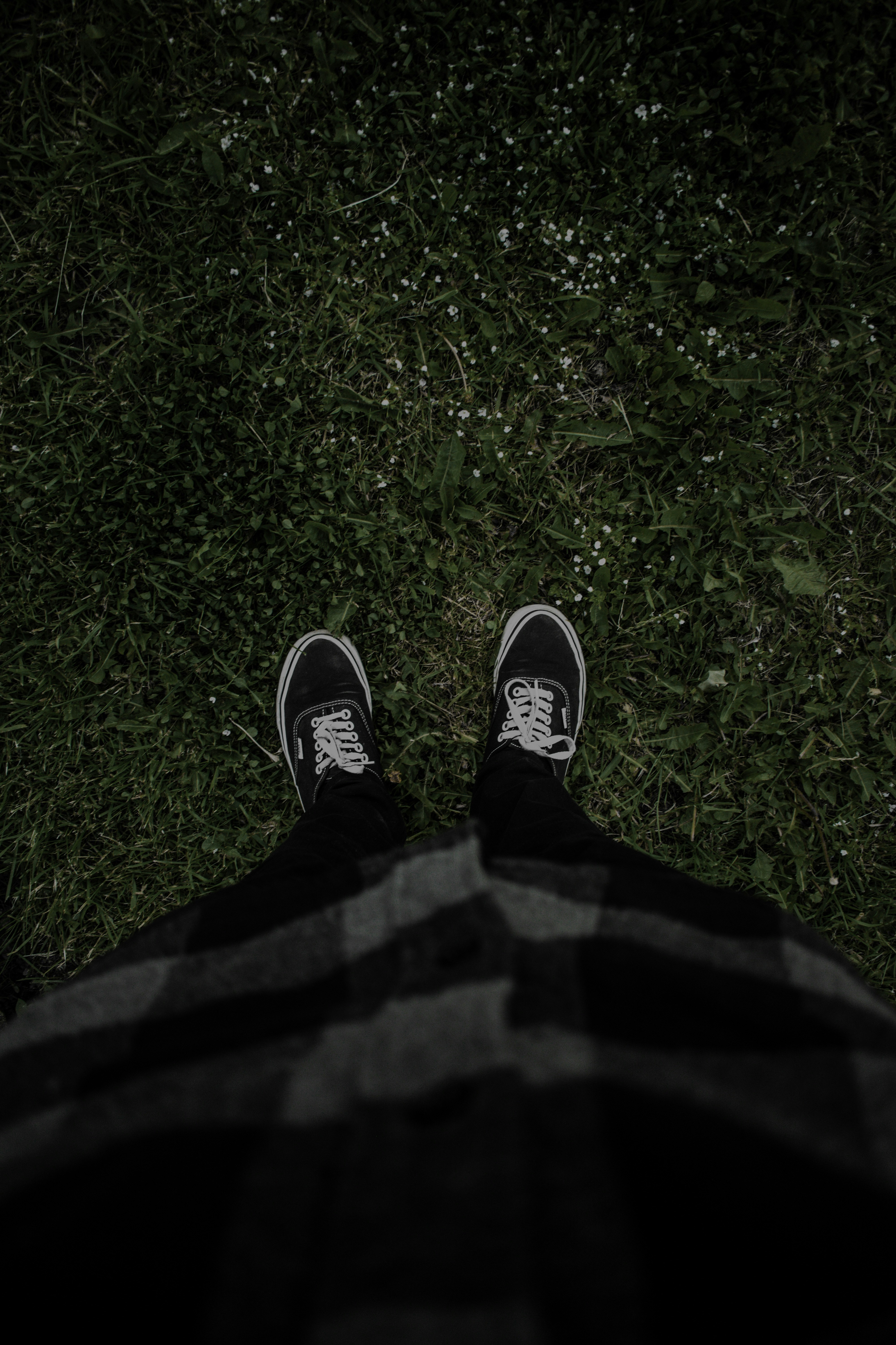A pair of black sneakers rests on lush green grass, surrounded by delicate white flowers. The view emphasizes a unique perspective of nature from ground level.