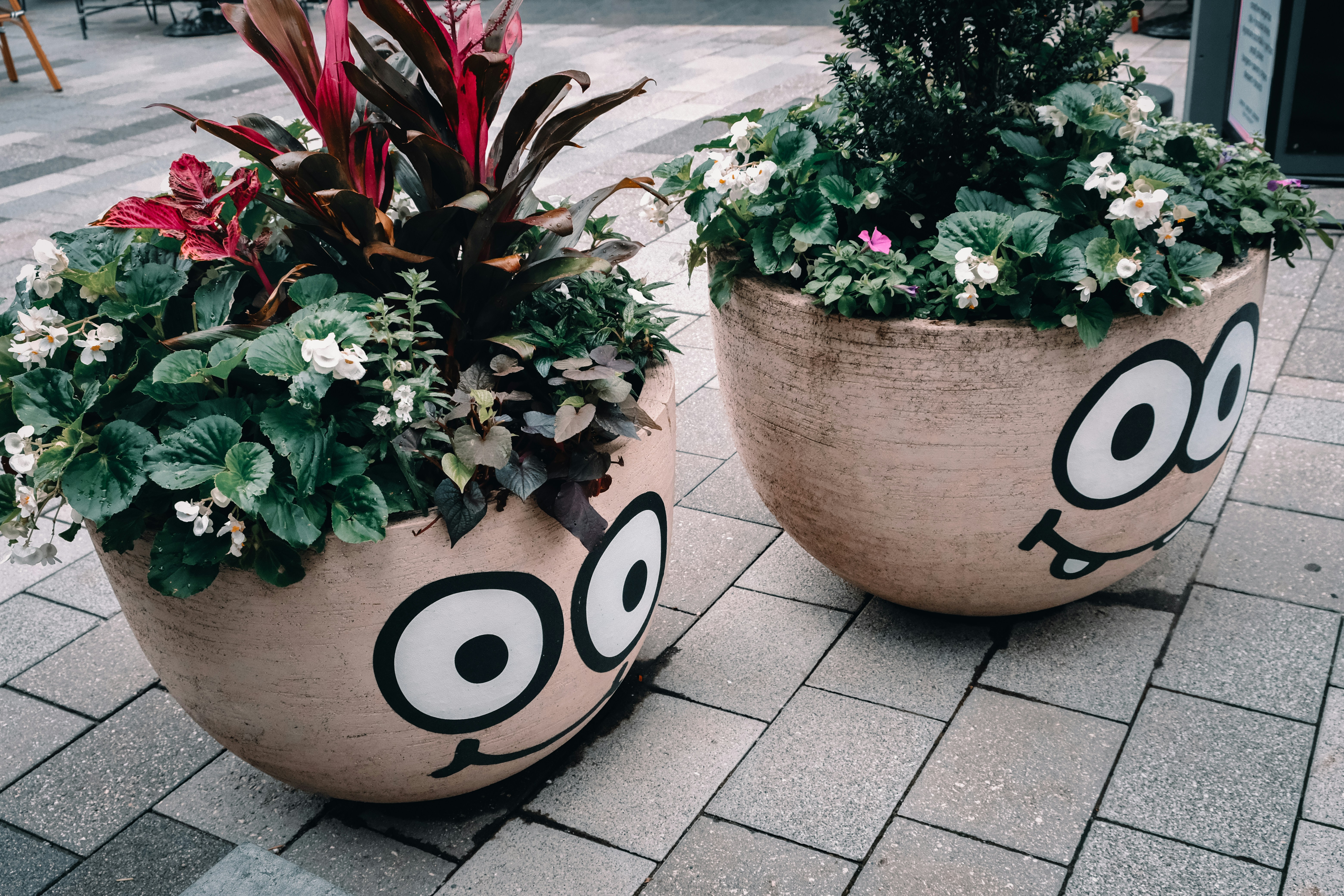 Whimsical Pots with Wide-Eyed Faces Guarding a Pedestrian Plaza