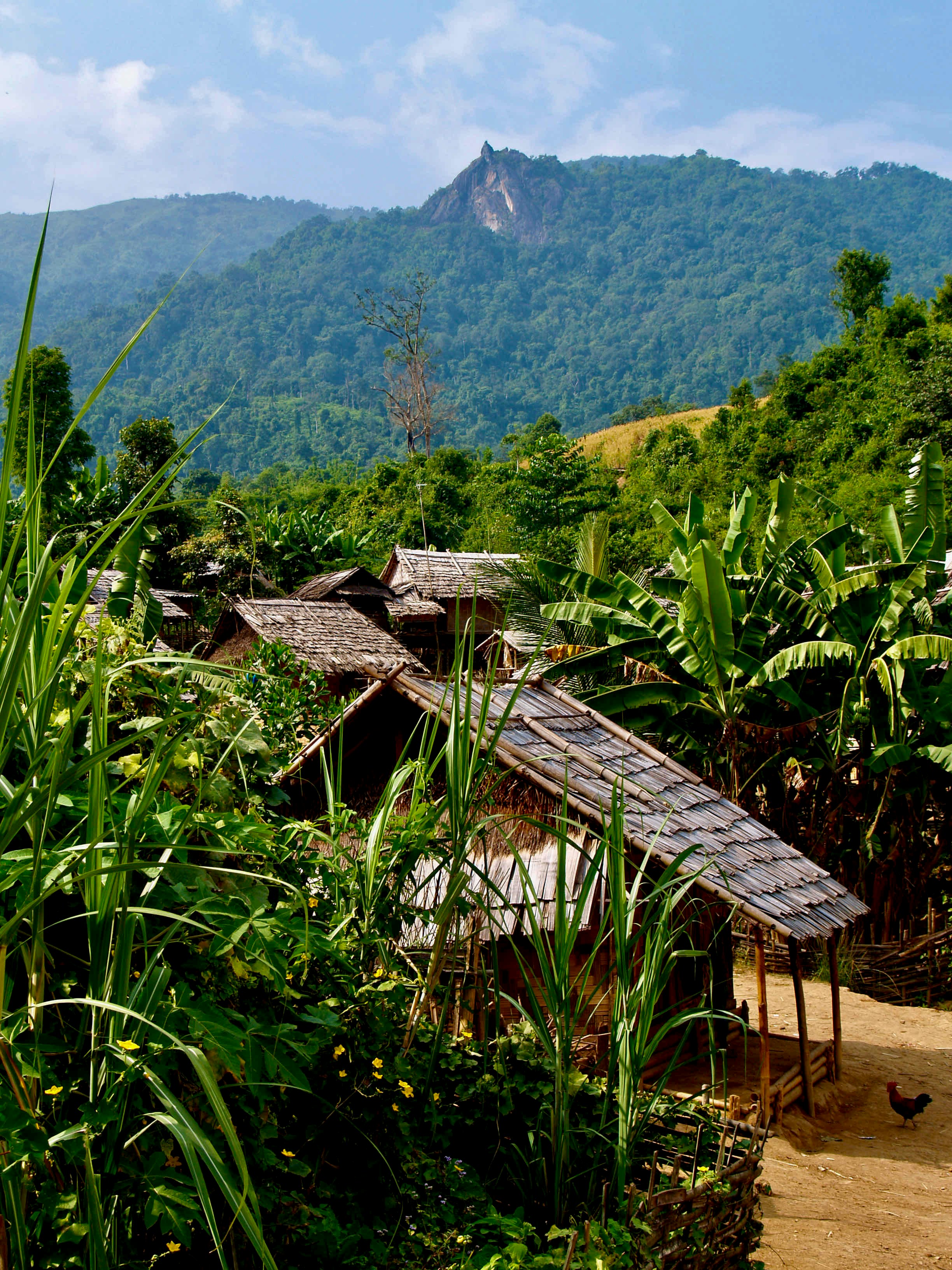 Traditional village nestled among lush greenery with a mountain backdrop, showcasing the connection between human habitation and nature.