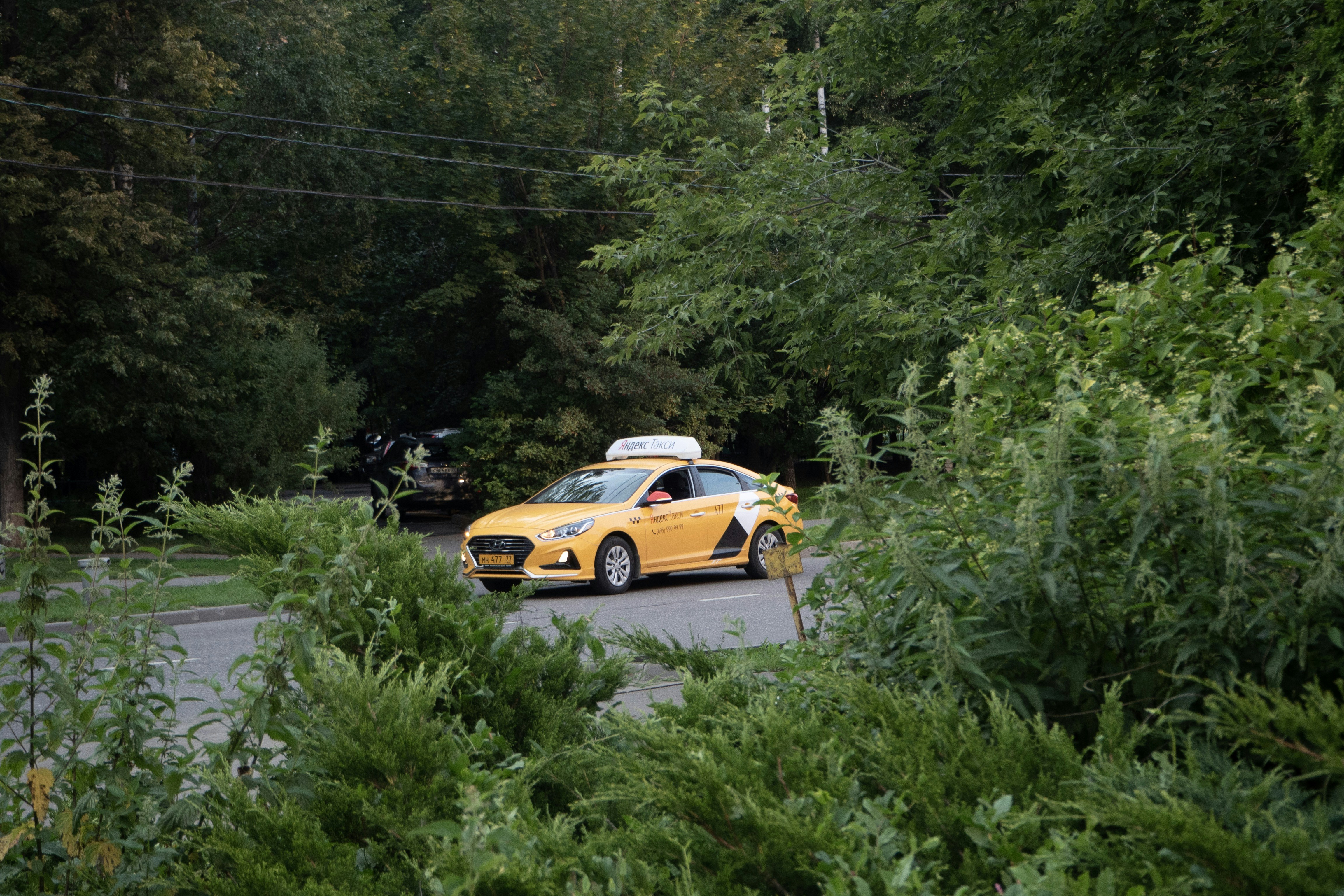 Yellow taxi on a quiet suburban road glimpsed through lush greenery