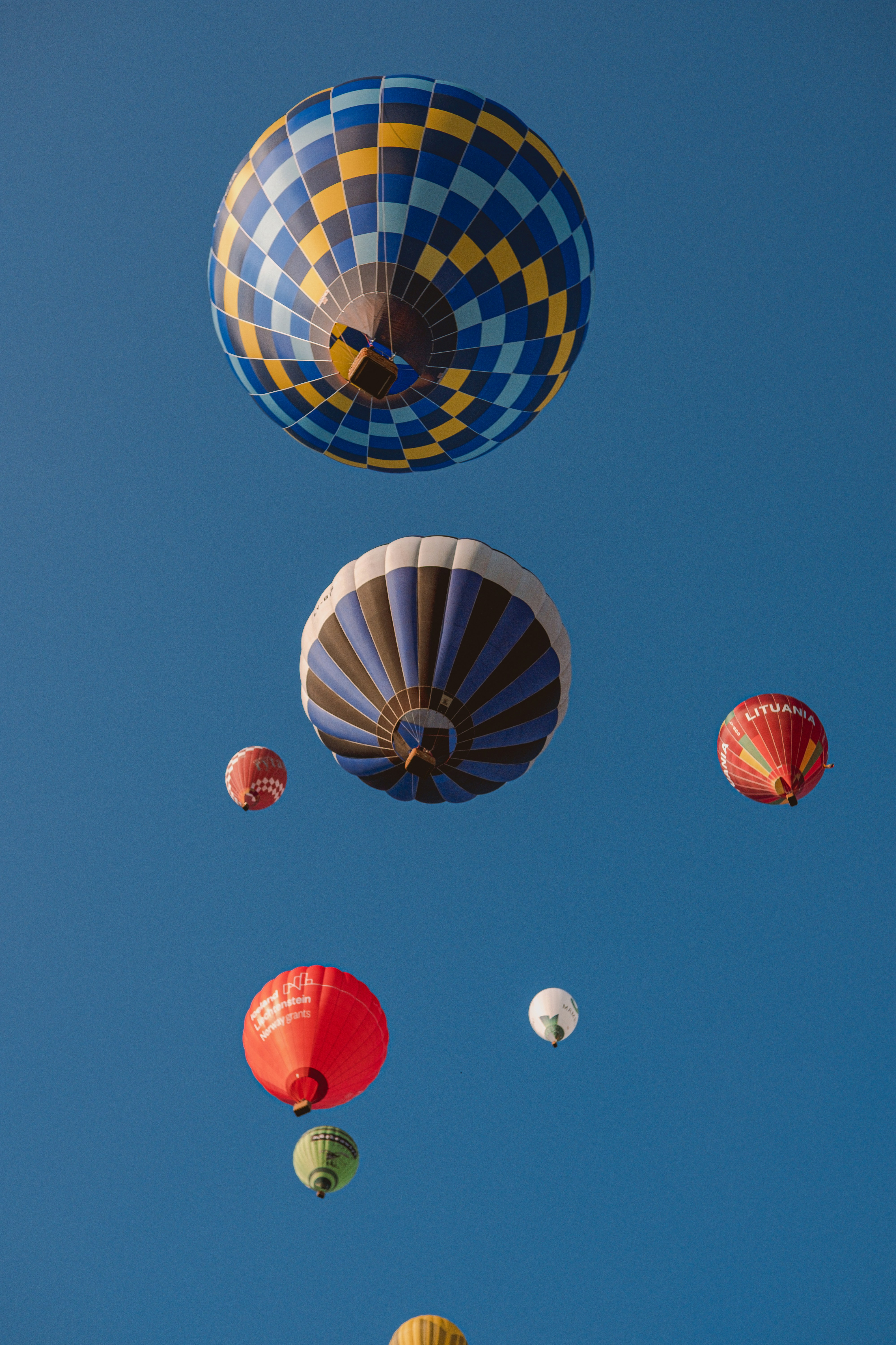 Colorful hot air balloons soaring against a clear blue sky, creating a vibrant aerial display.