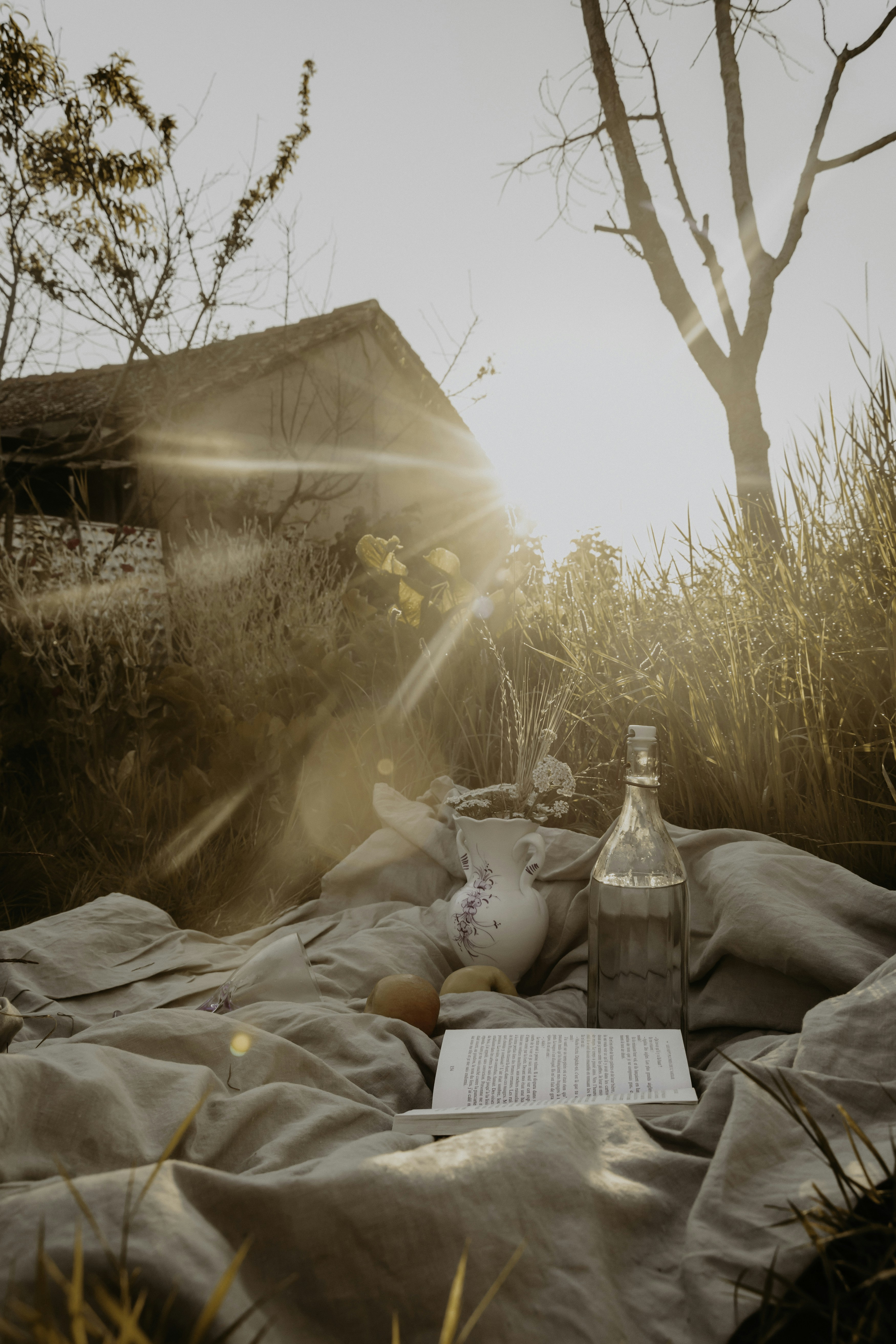 Minimalistic | 100+ best free minimalistic, human, grey, and fashion ...