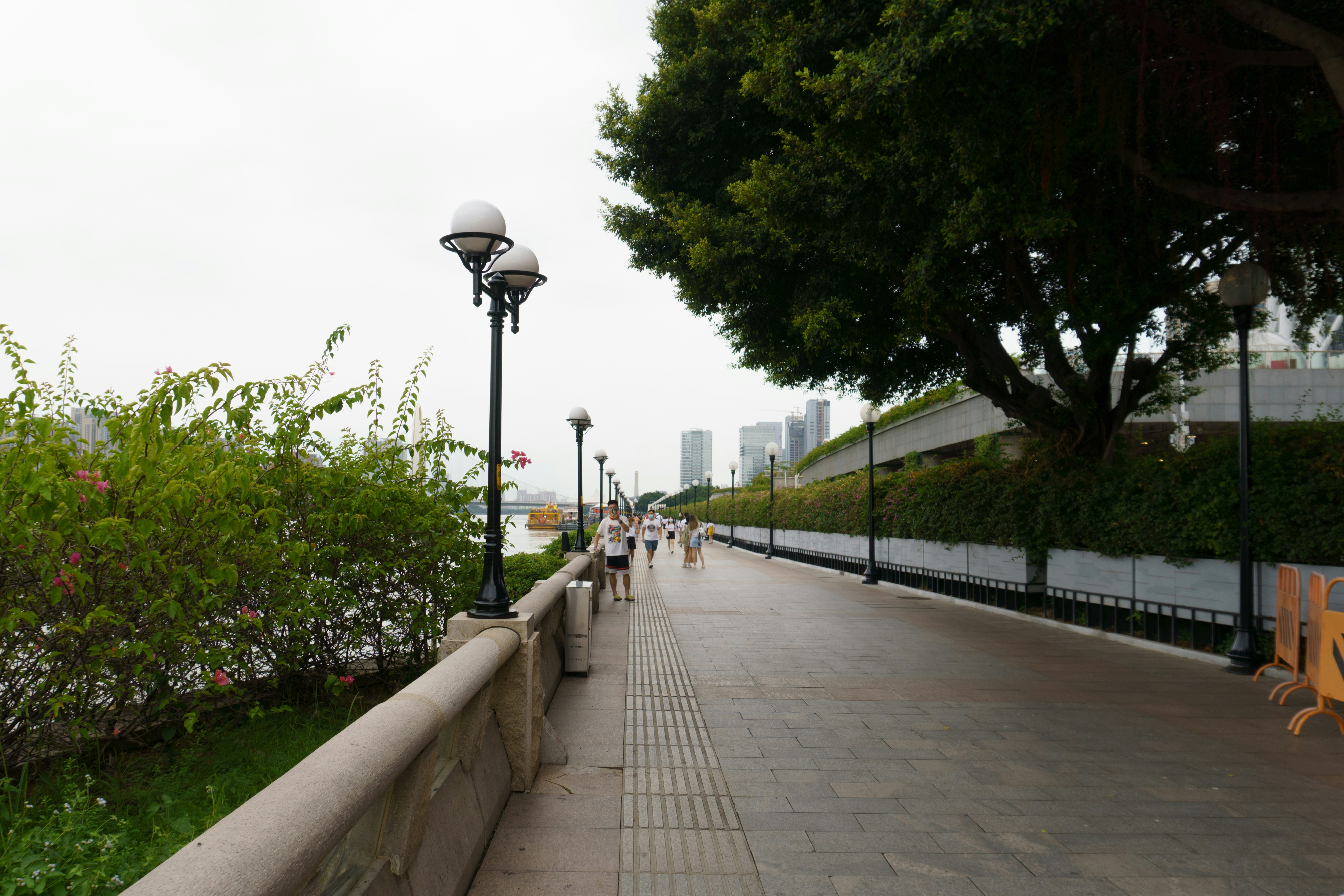 Riverside Promenade: Lamps Guiding the Quiet Walk Toward a Distant Skyline