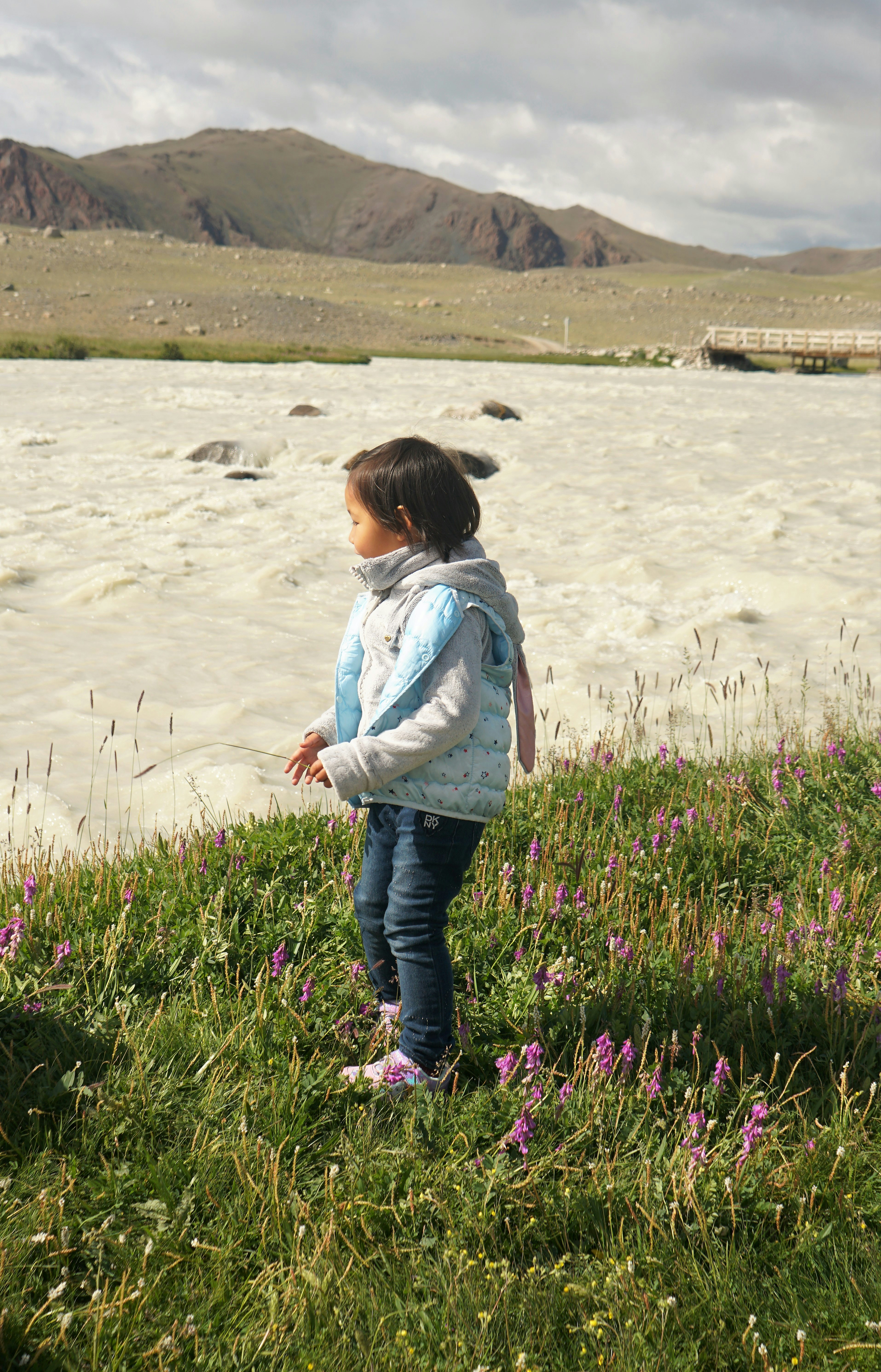 Meadowbound: A Little Girl Among Purple Blooms by the River