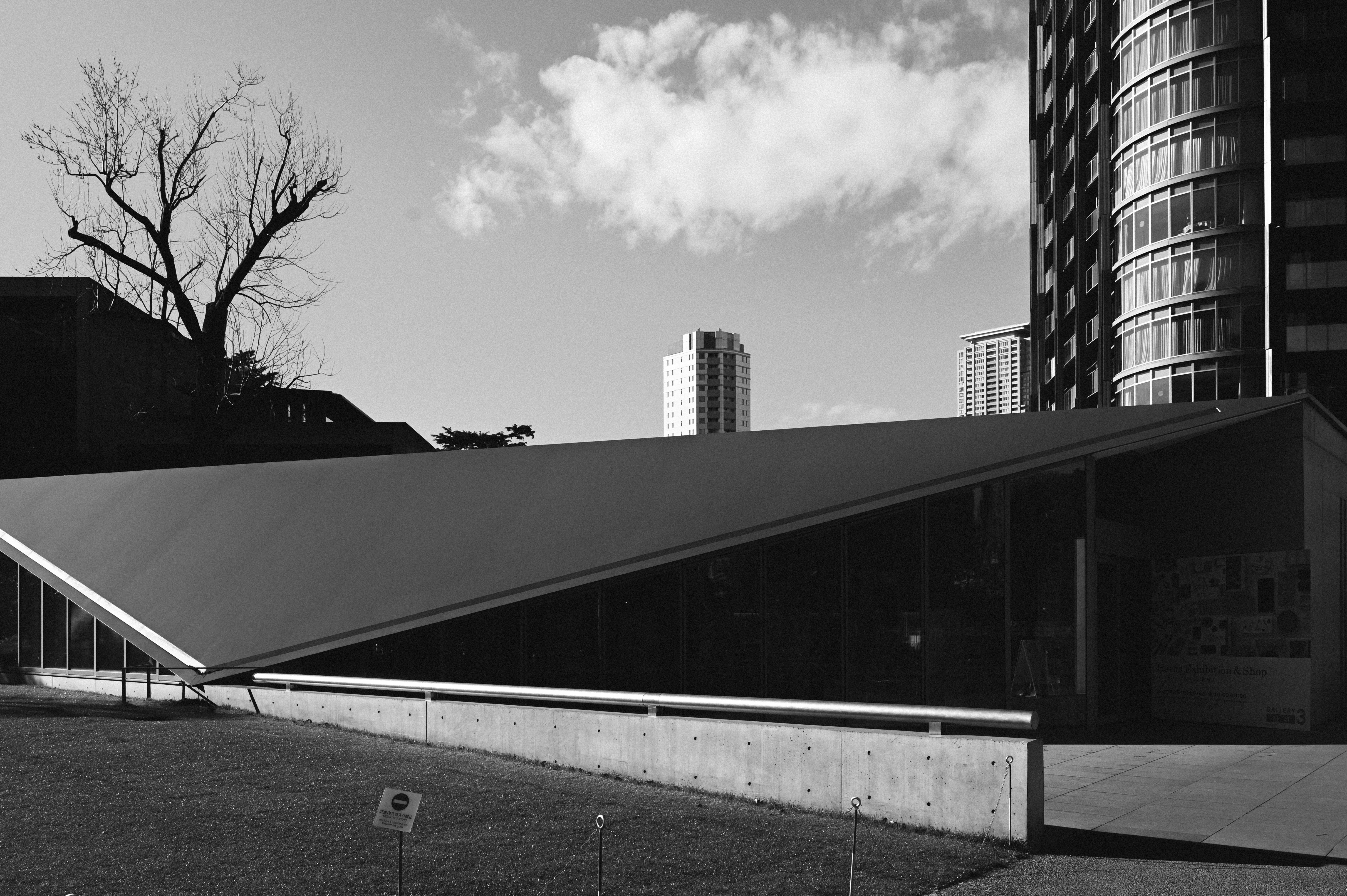 Modern architectural structure with angular lines juxtaposed against a city skyline and a leafless tree. The scene is rendered in black and white for dramatic effect.
