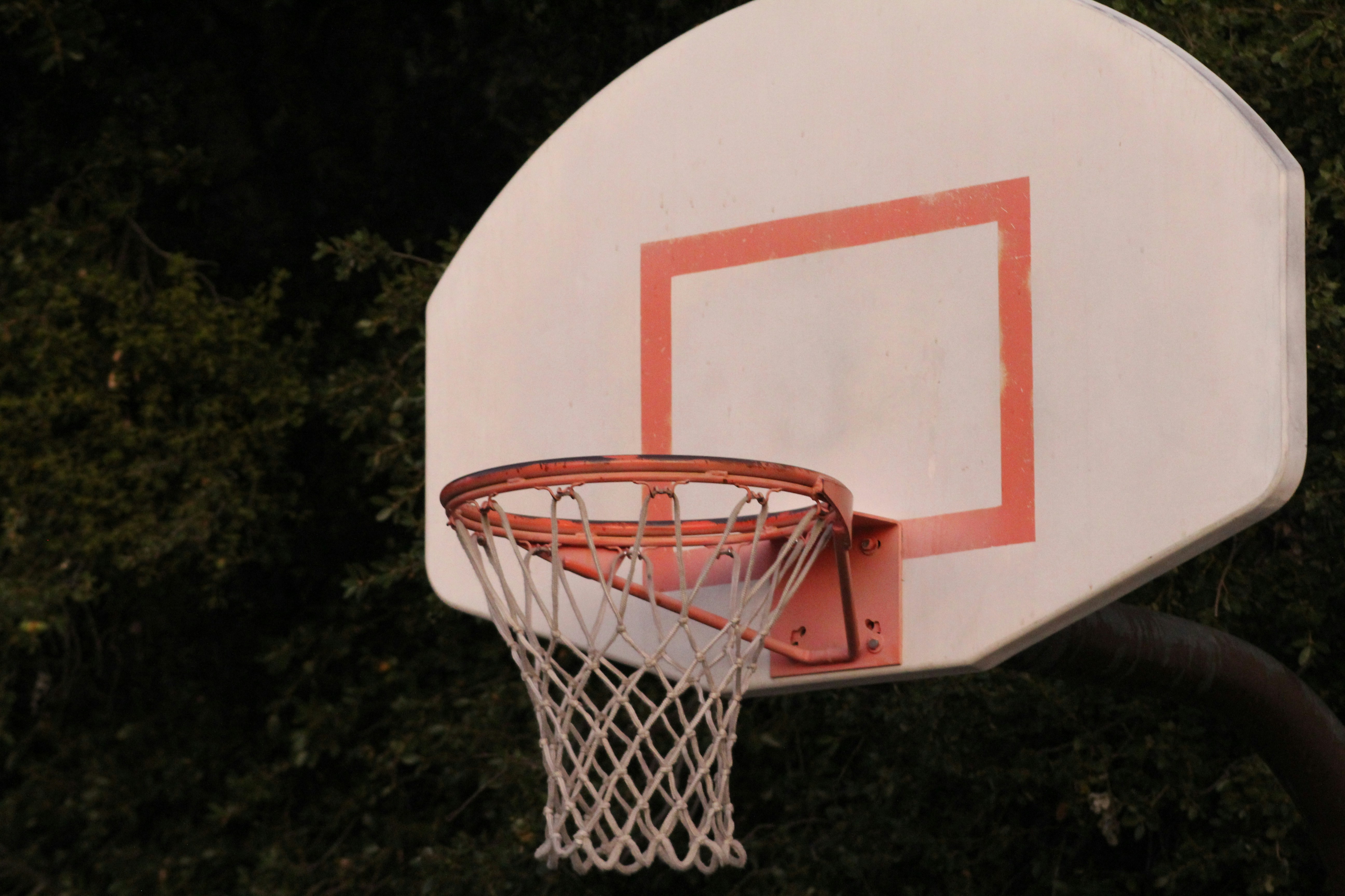 Basketball hoop framed by lush greenery, capturing the essence of outdoor play and competition.