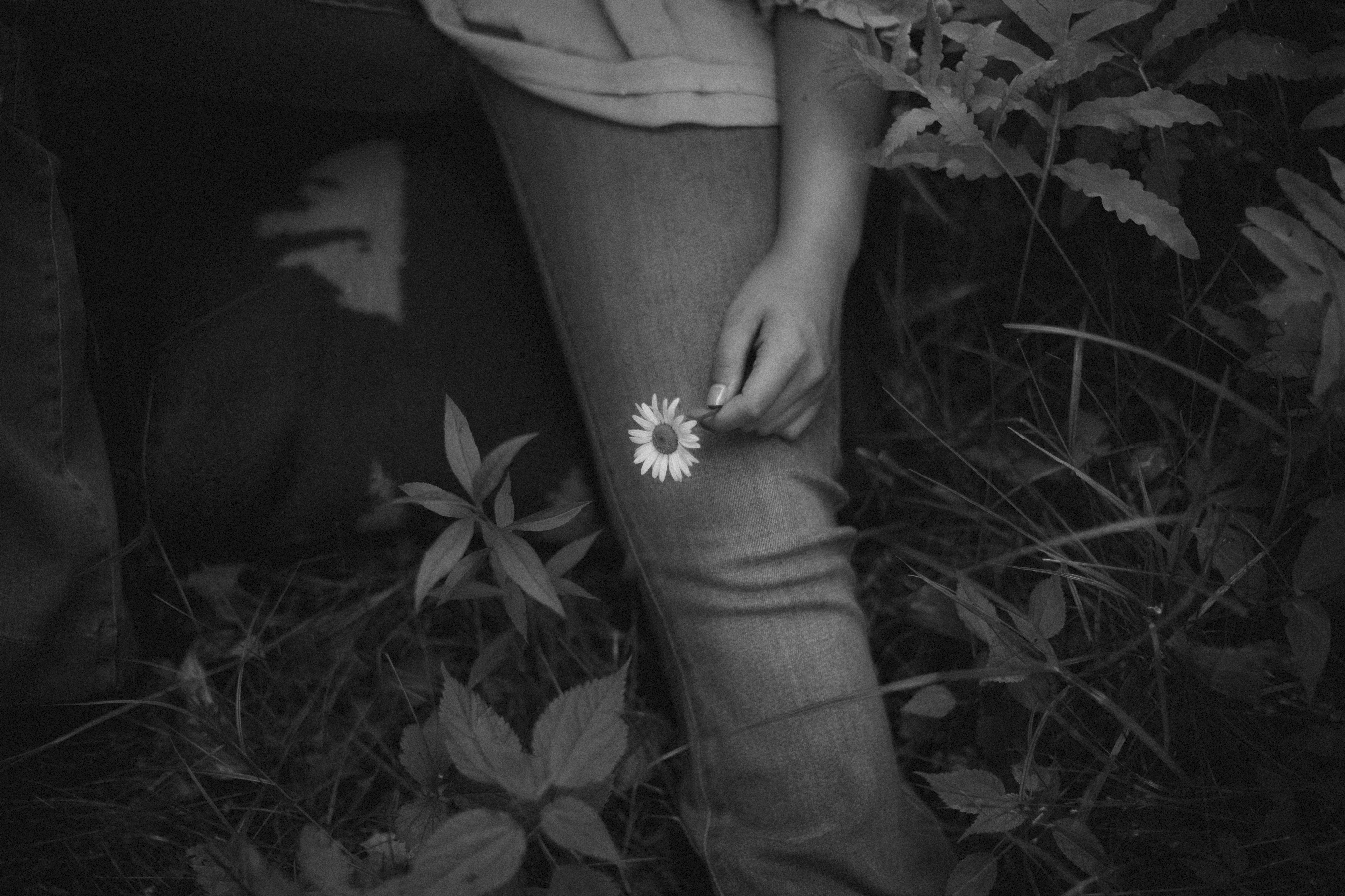 Petal in the Grasp: Quiet Moments by the Weeds