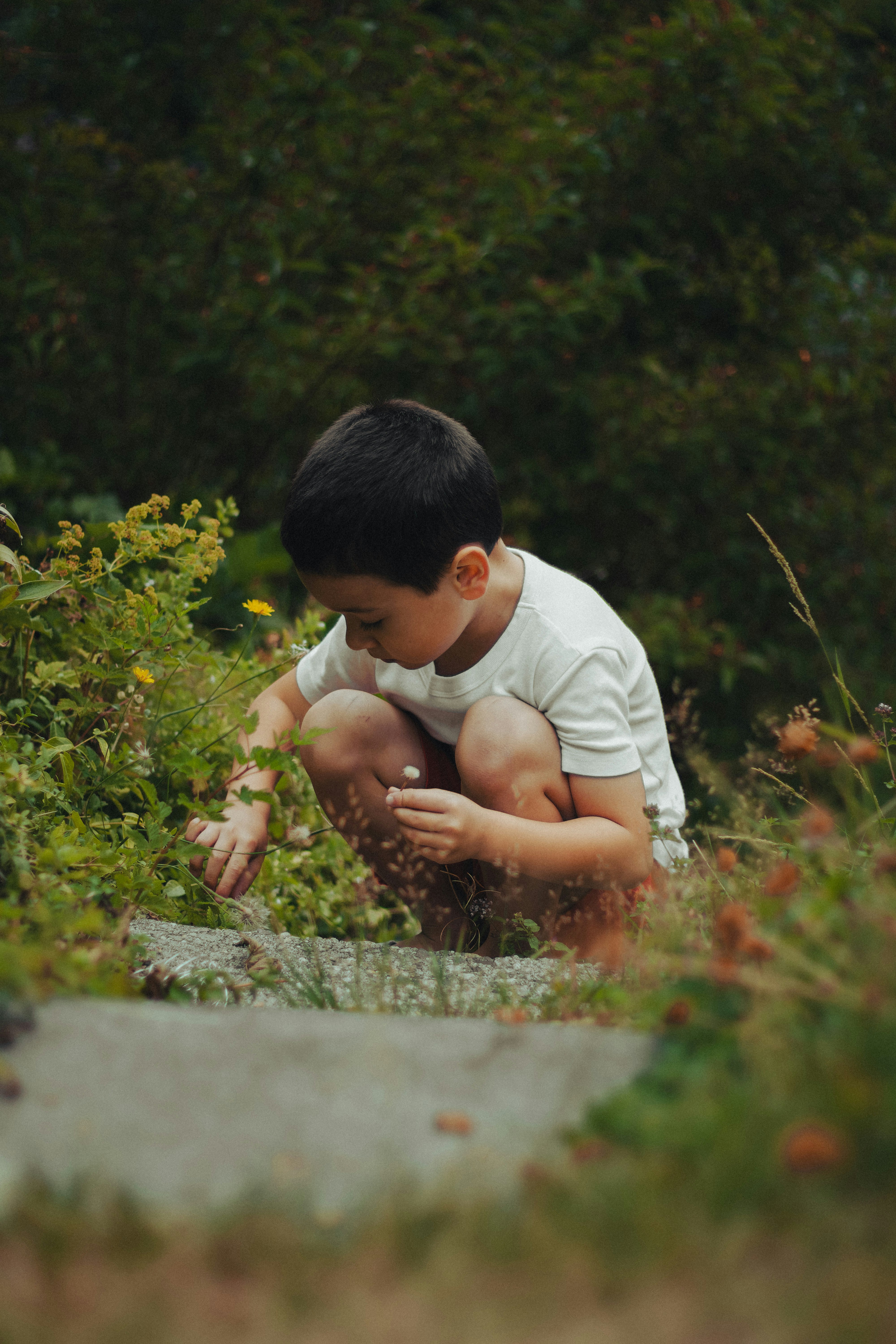 Young boy crouched in a garden, exploring flowers and plants with focused intent.