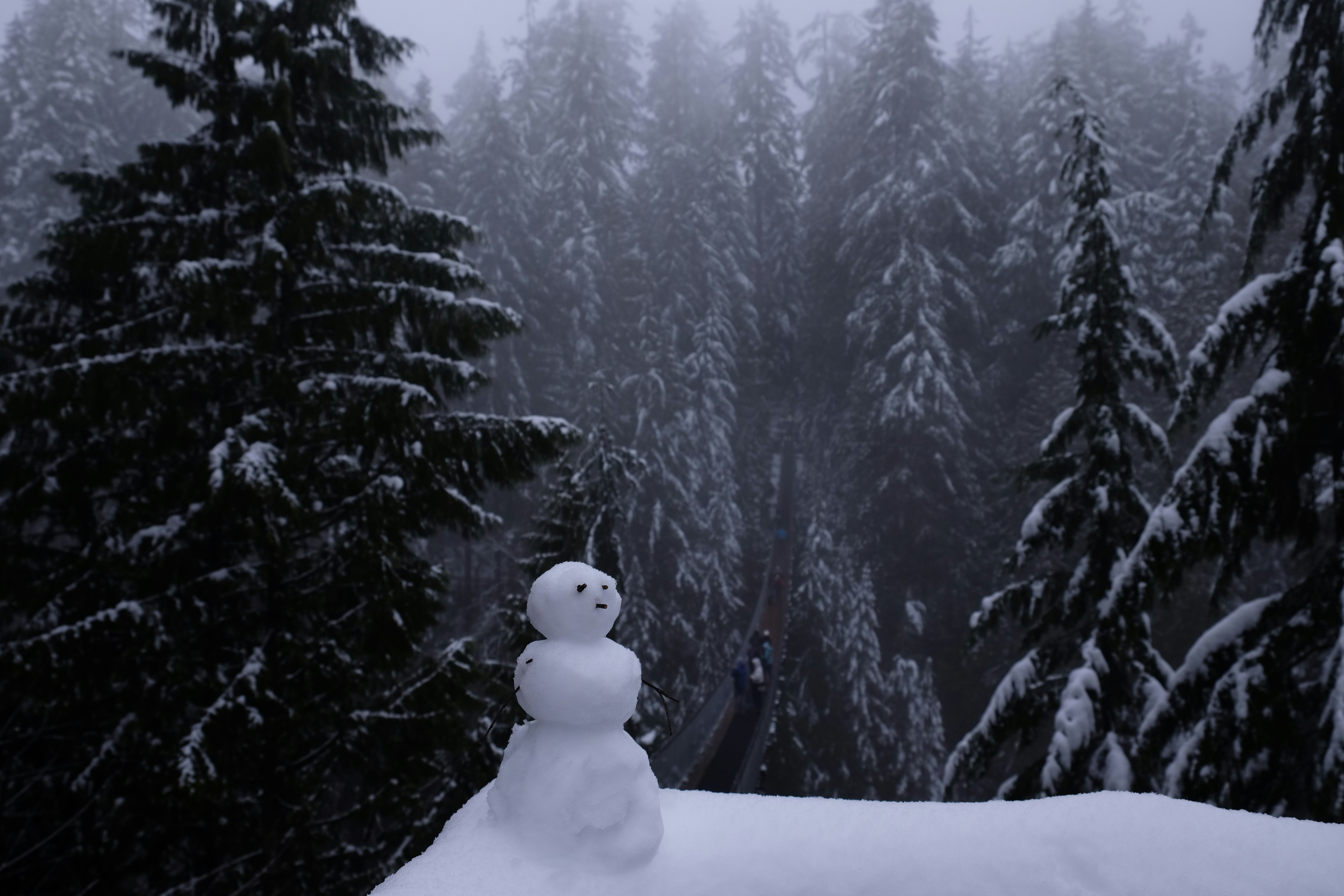 Snowman at the Edge of a Mist-Draped Pine Forest
