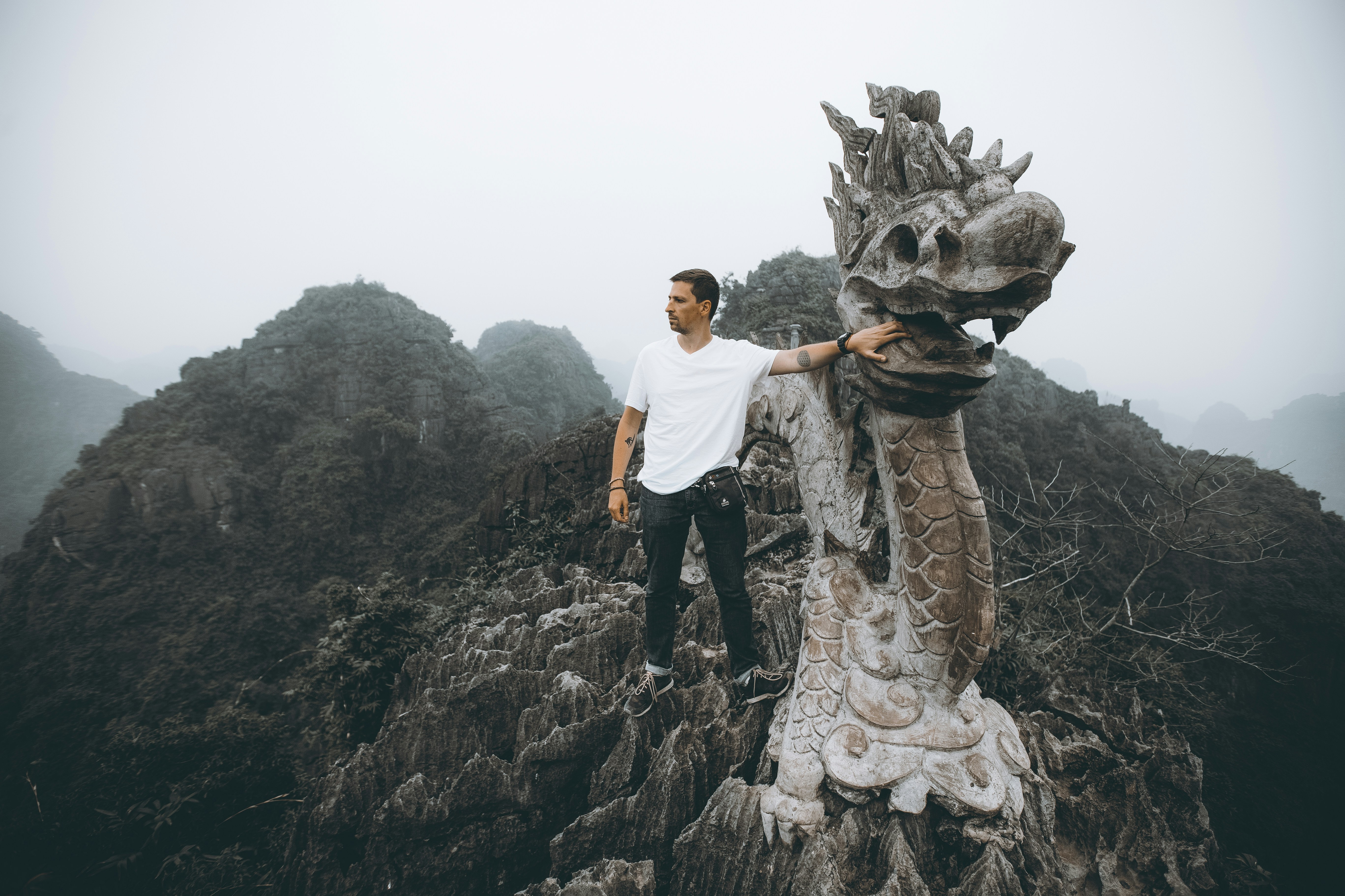Whispers on the Misty Ridge: A Traveler and the Dragon Guardian