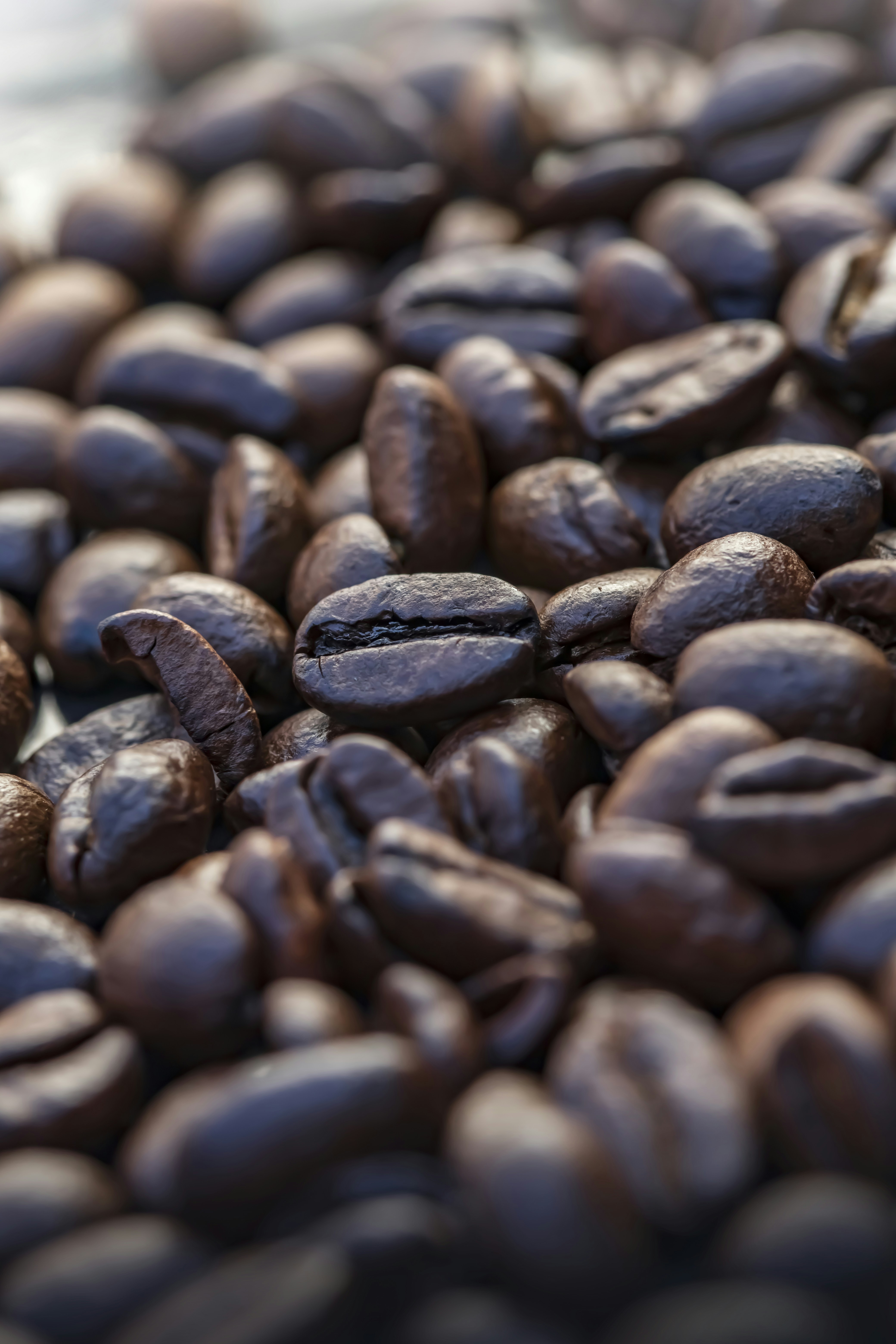 coffee beans | coffee beans in close up photography