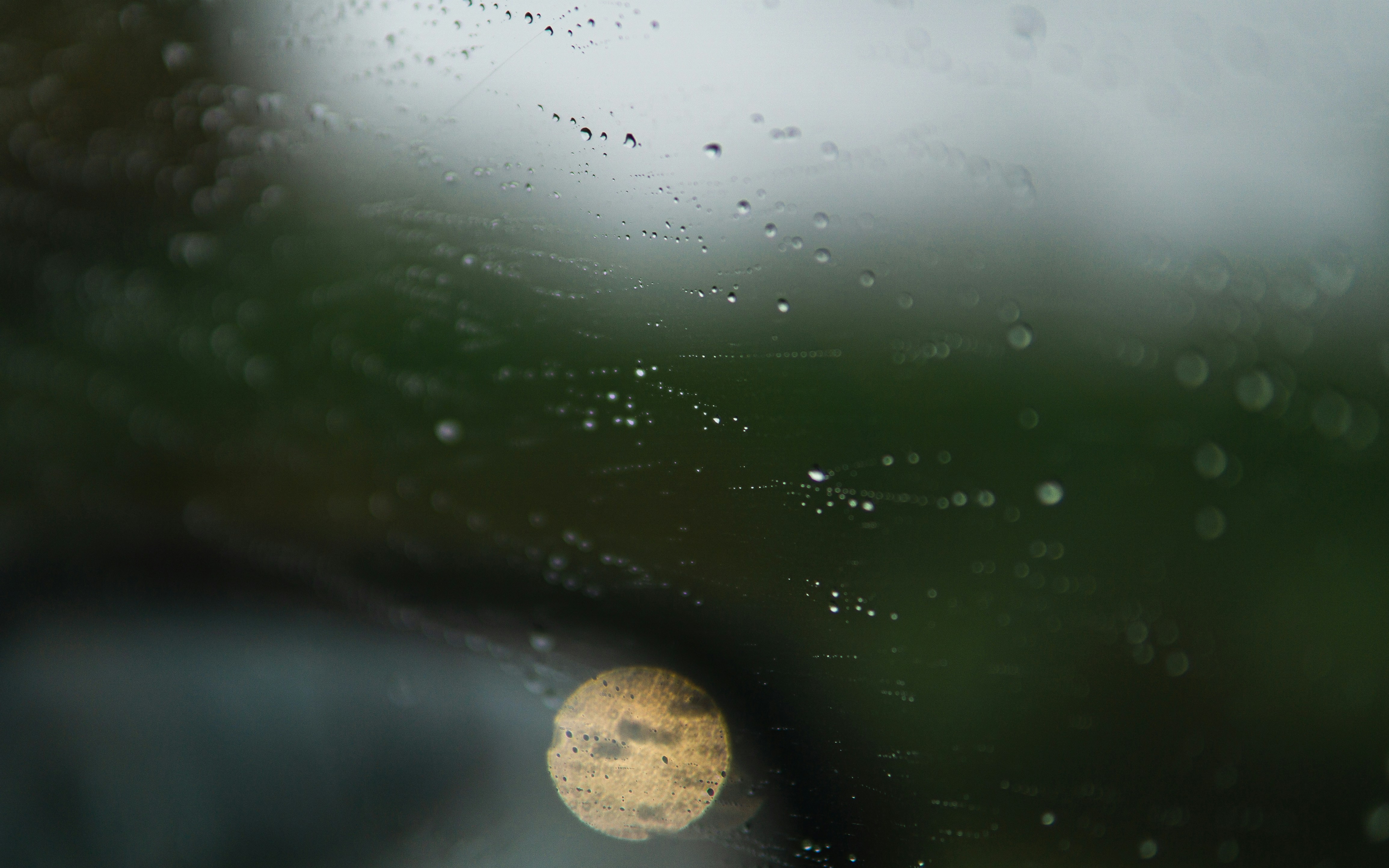 water droplets on glass window