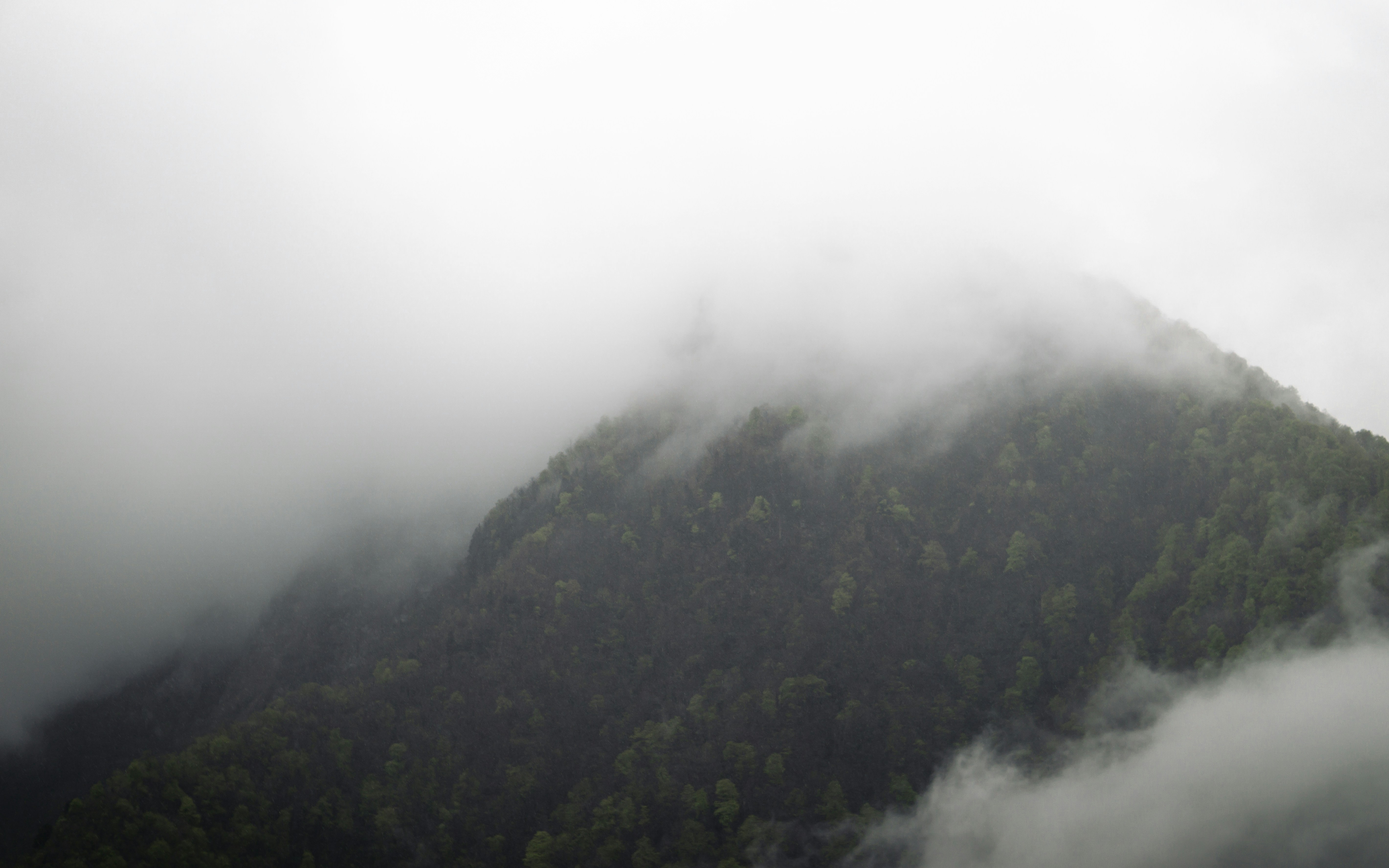 Green mountain covered with fog photo – Free Nature Image on Unsplash
