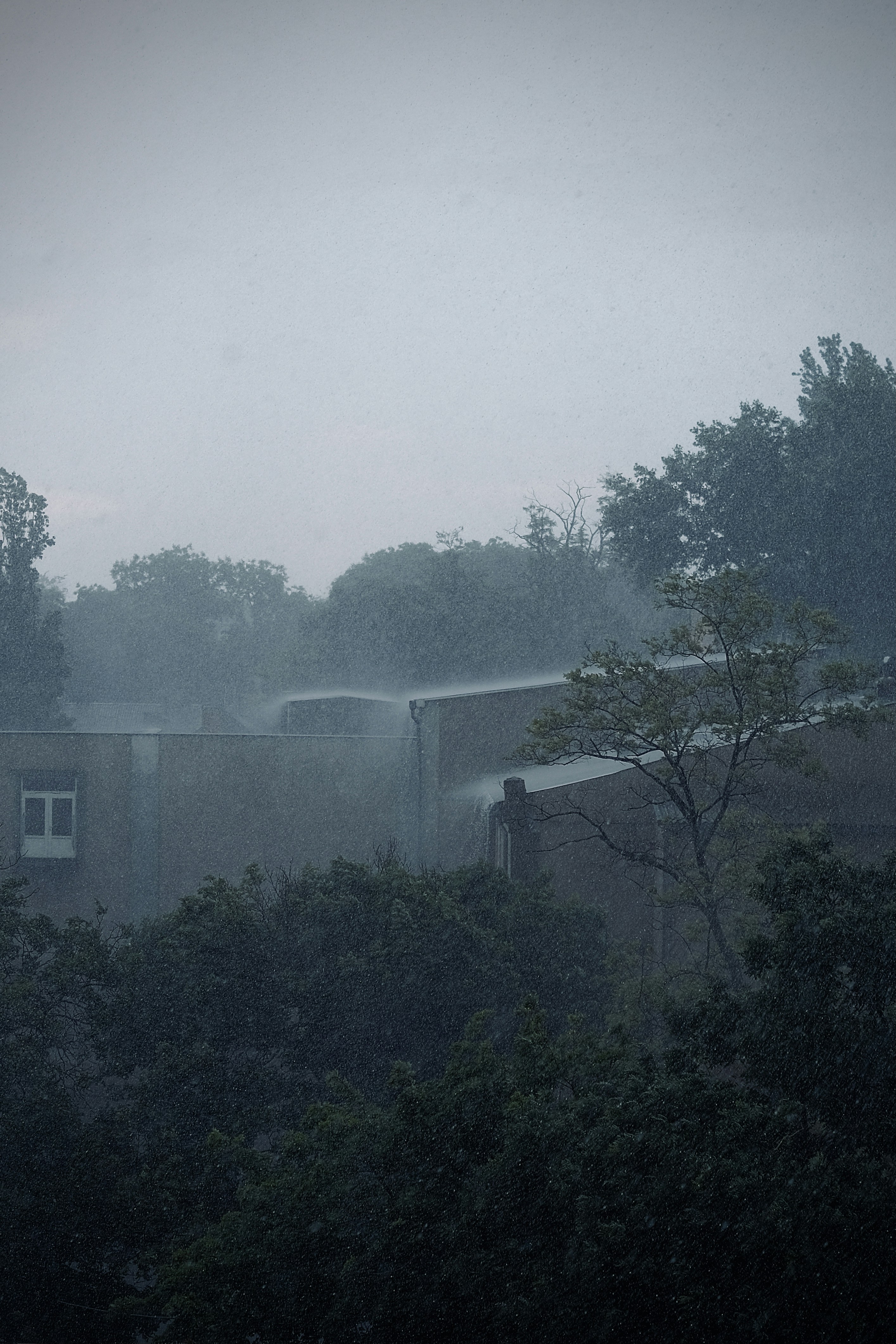 Blue Dusk Over a Quiet Factory Roofline in Dense Fog
