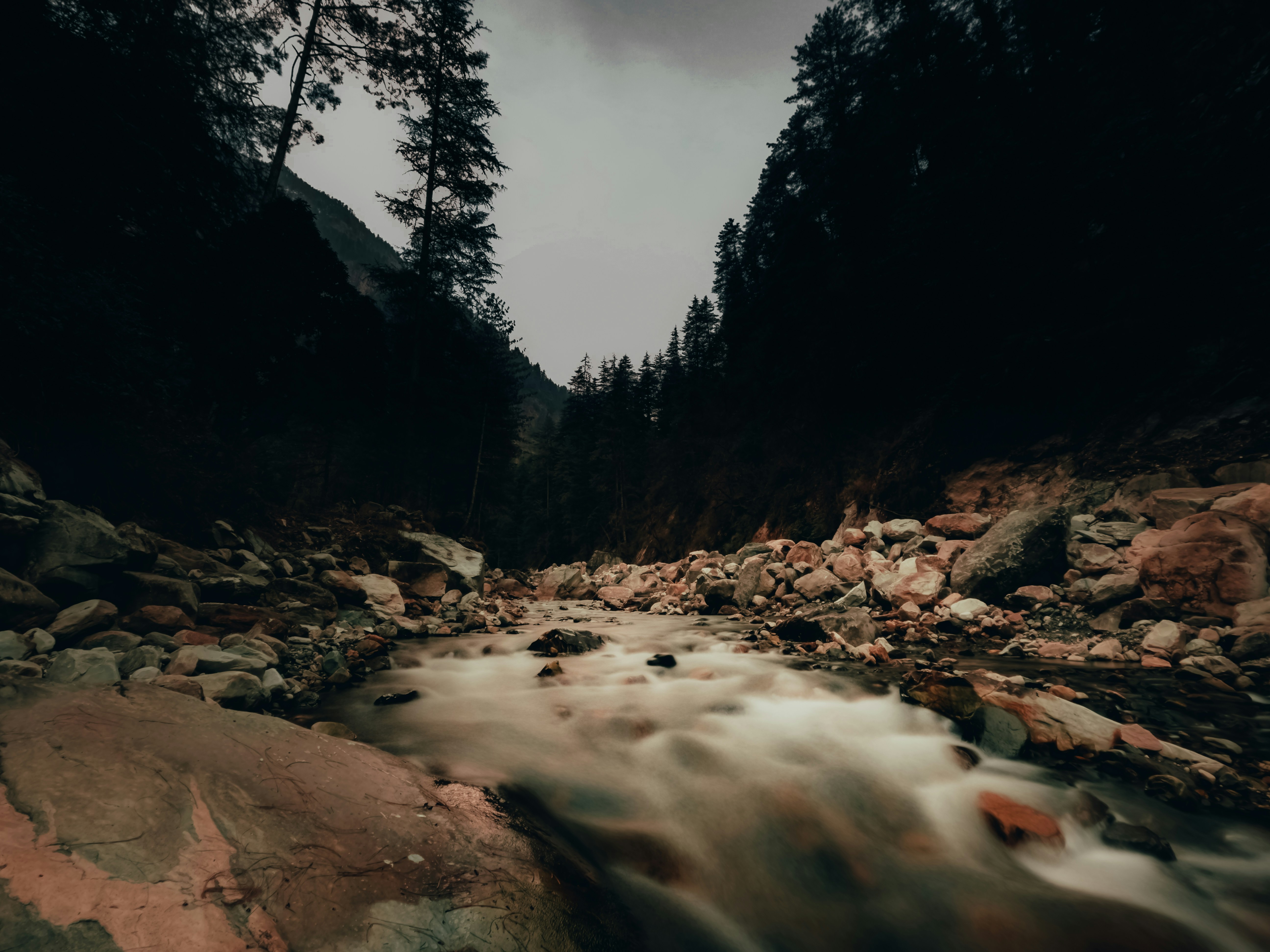 Río en medio del bosque foto – Imagen de Río gratuita en Unsplash