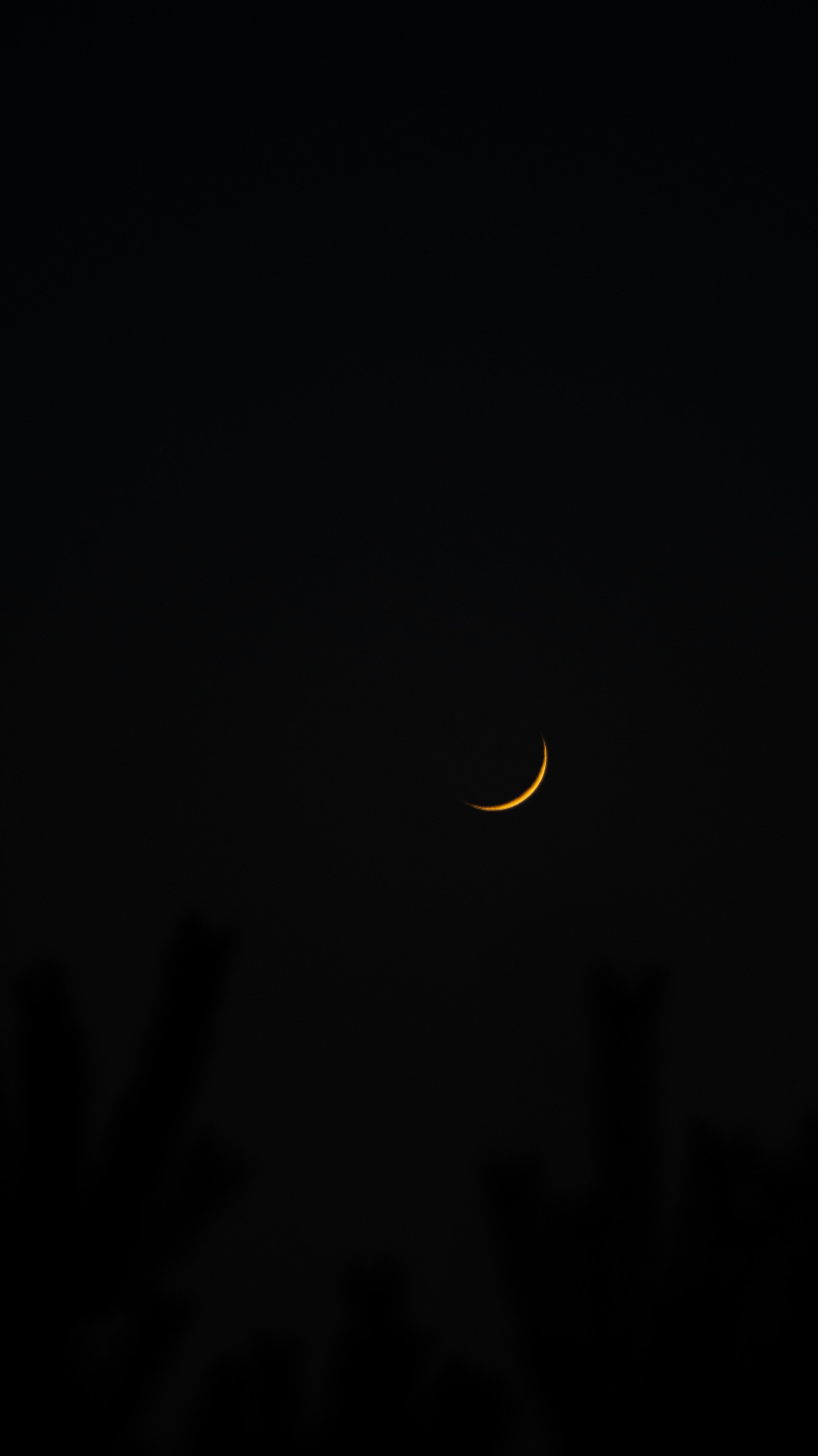 Copper Crescent Over Velvet Night: Moonlight Among Silhouettes