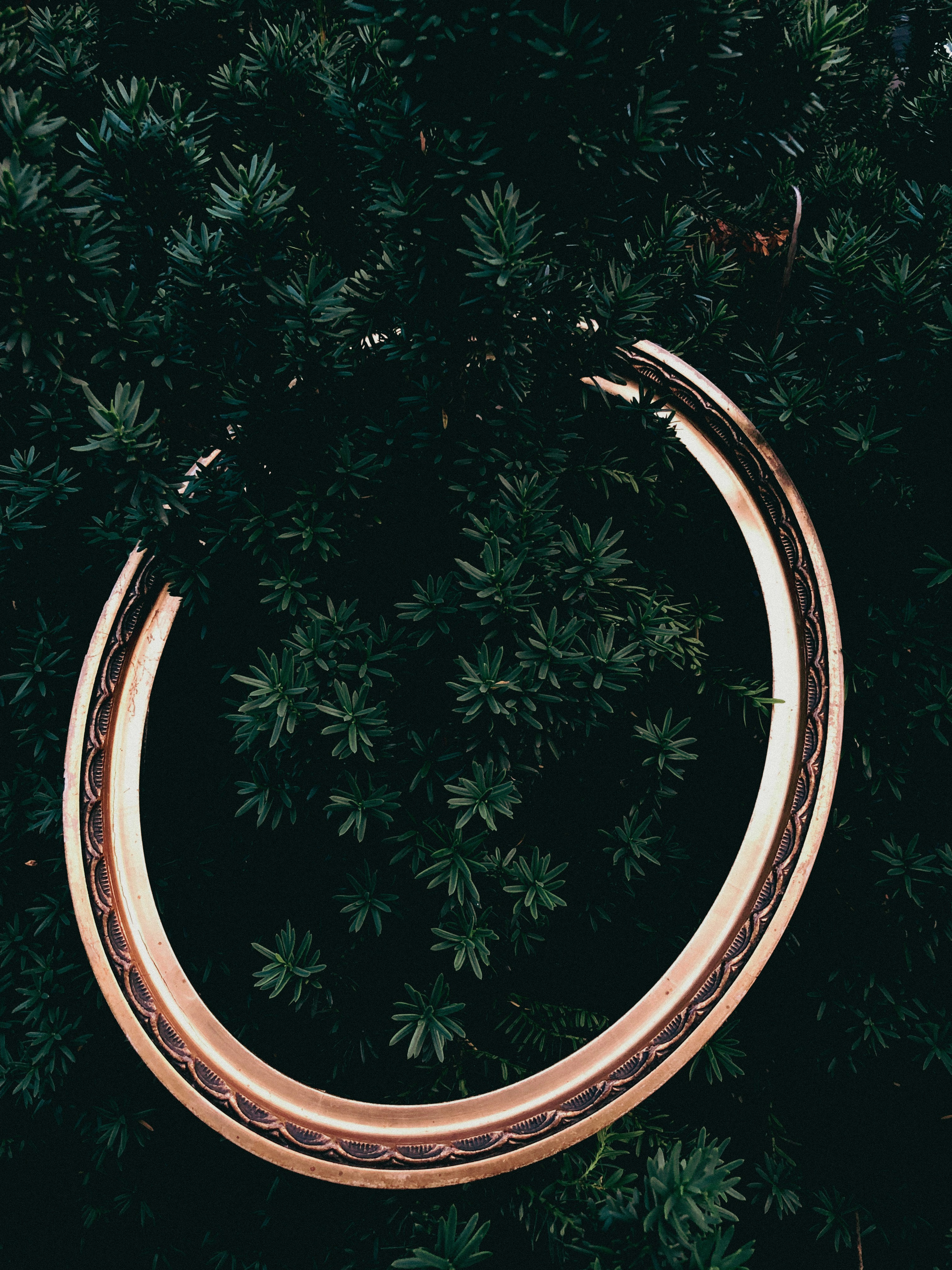 A circular metallic frame partially surrounded by lush green foliage, creating a harmonious blend of nature and design.