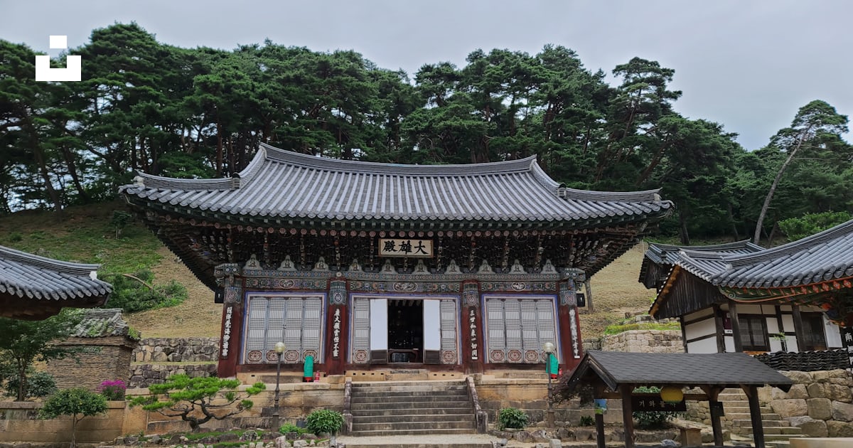 낮에는 하얀 하늘 아래 푸른 나무로 둘러싸인 갈색과 흰색 목조 주택 사진 Unsplash의 무료 대한민국 경상북도 문경 이미지