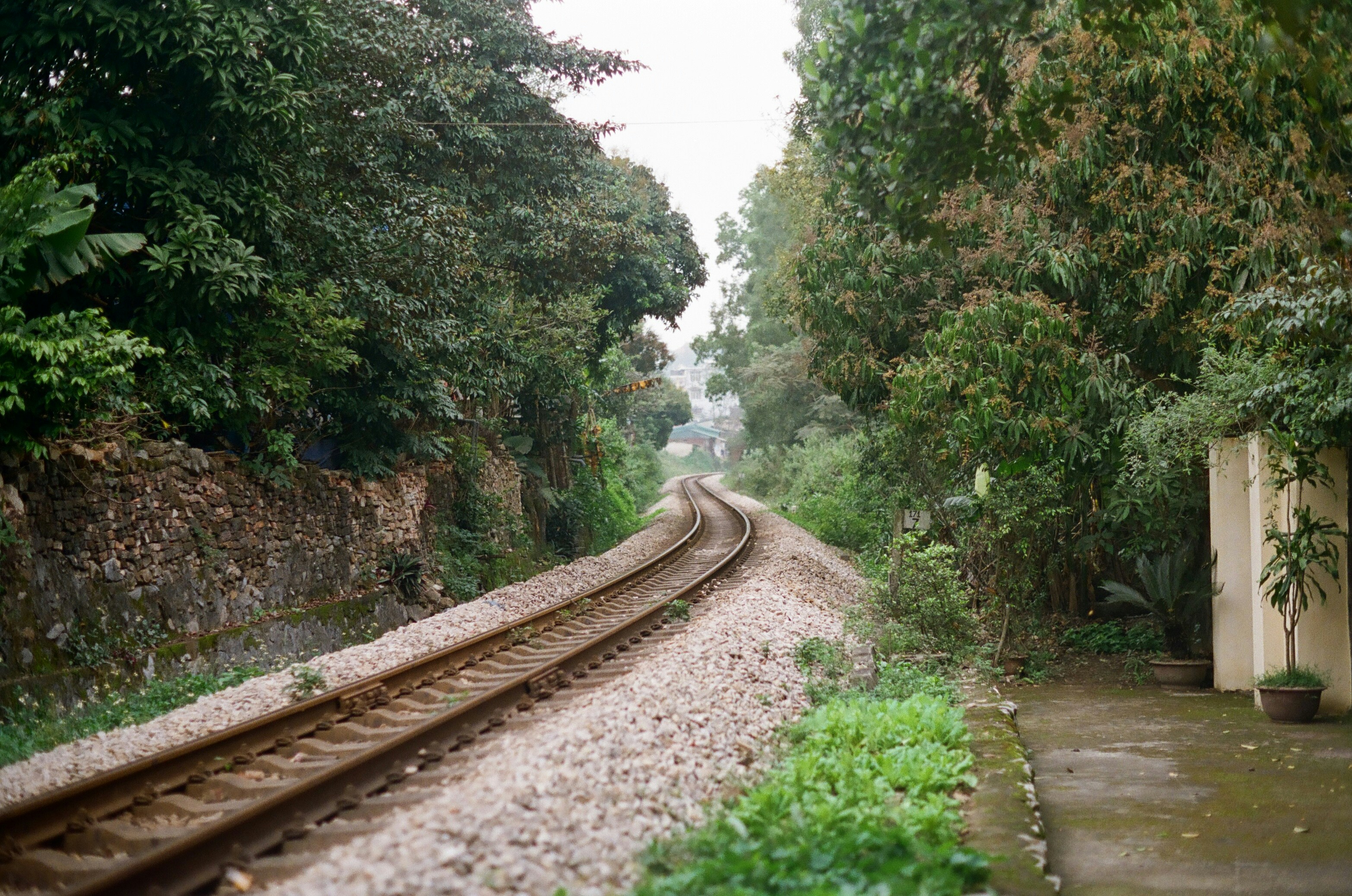 Brown train rail between green trees during daytime photo – Free ...