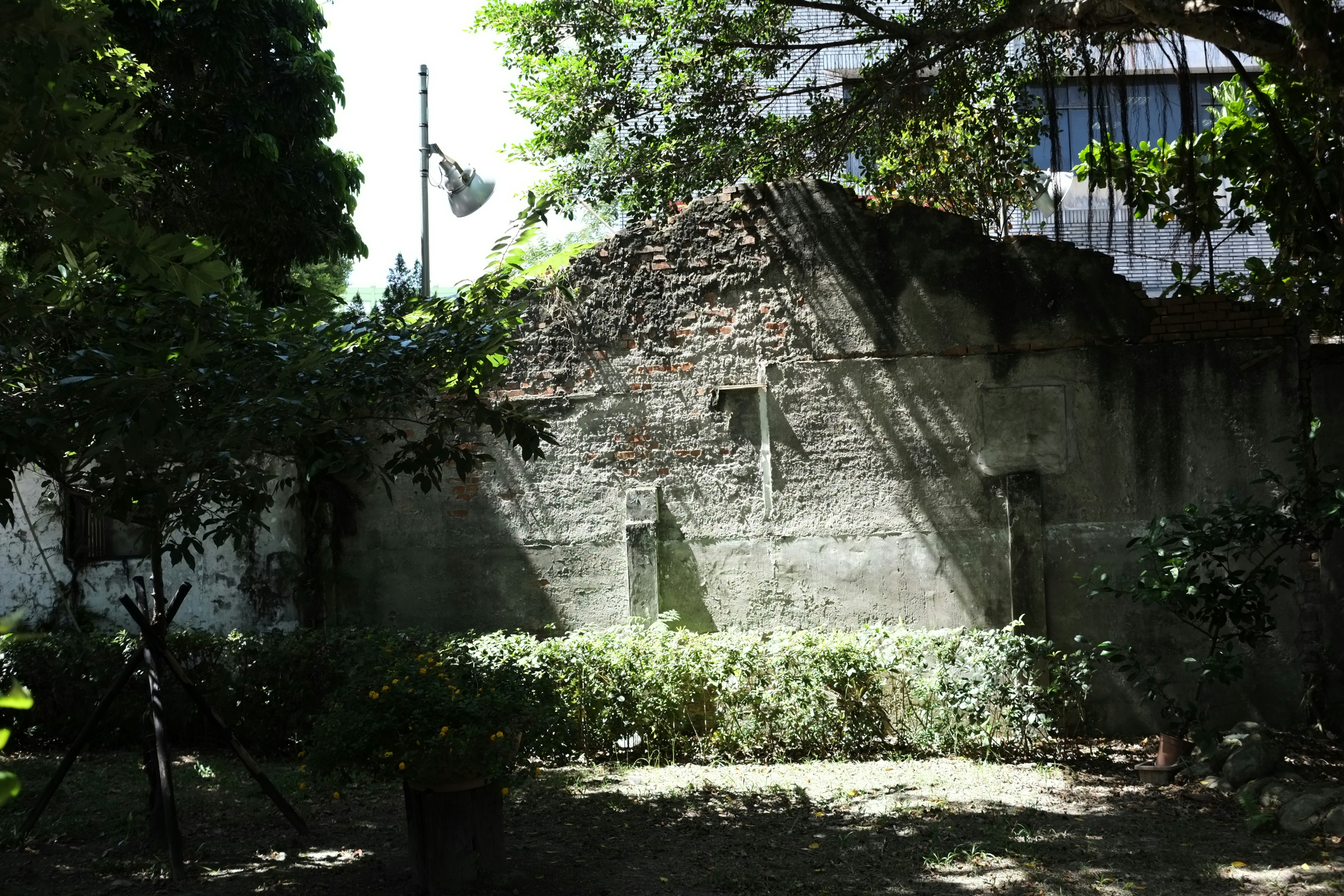 Weathered wall adorned with shadows and greenery in a tranquil garden setting.