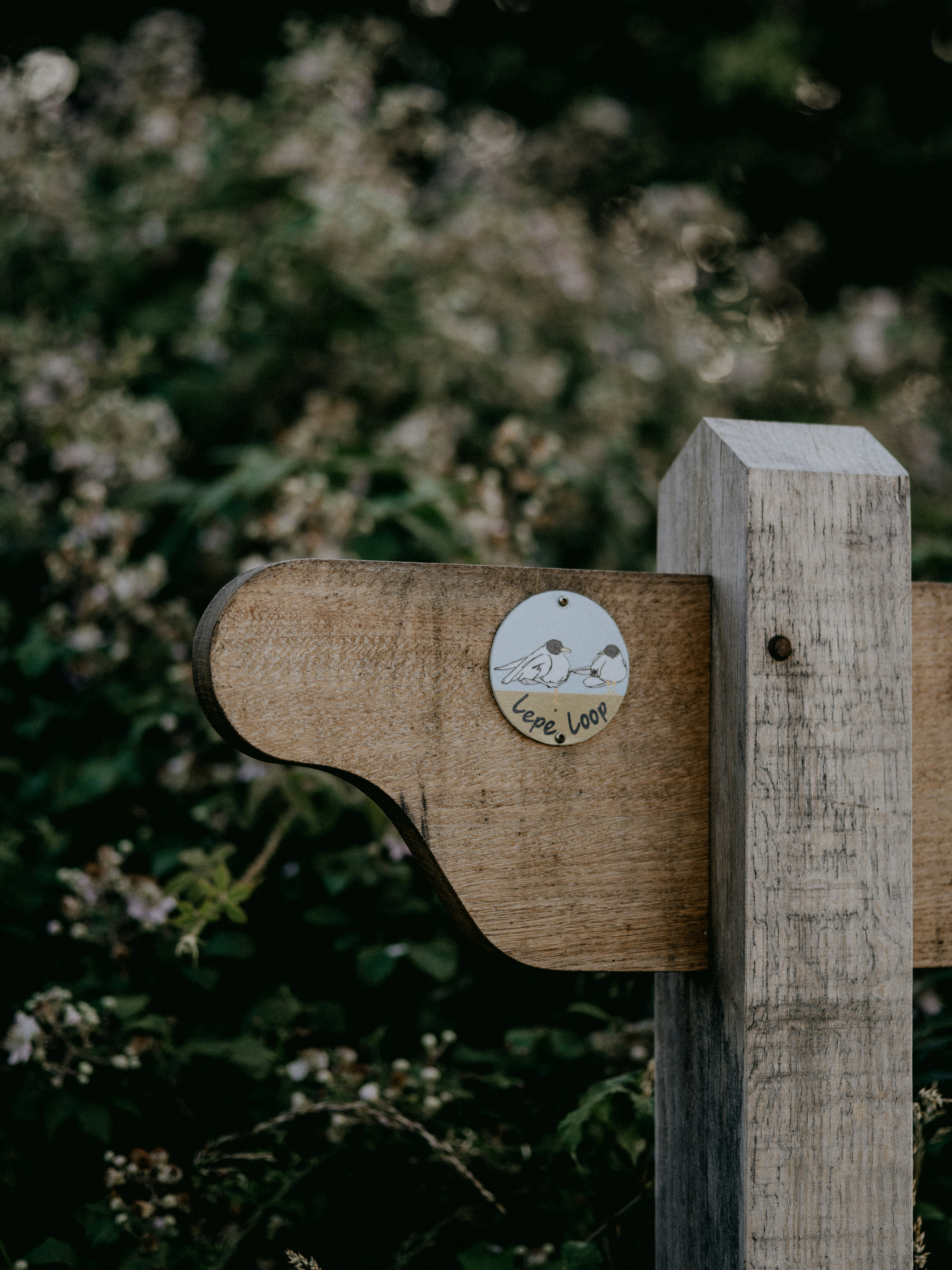 Wooden gatepost with circular emblem in a garden thicket