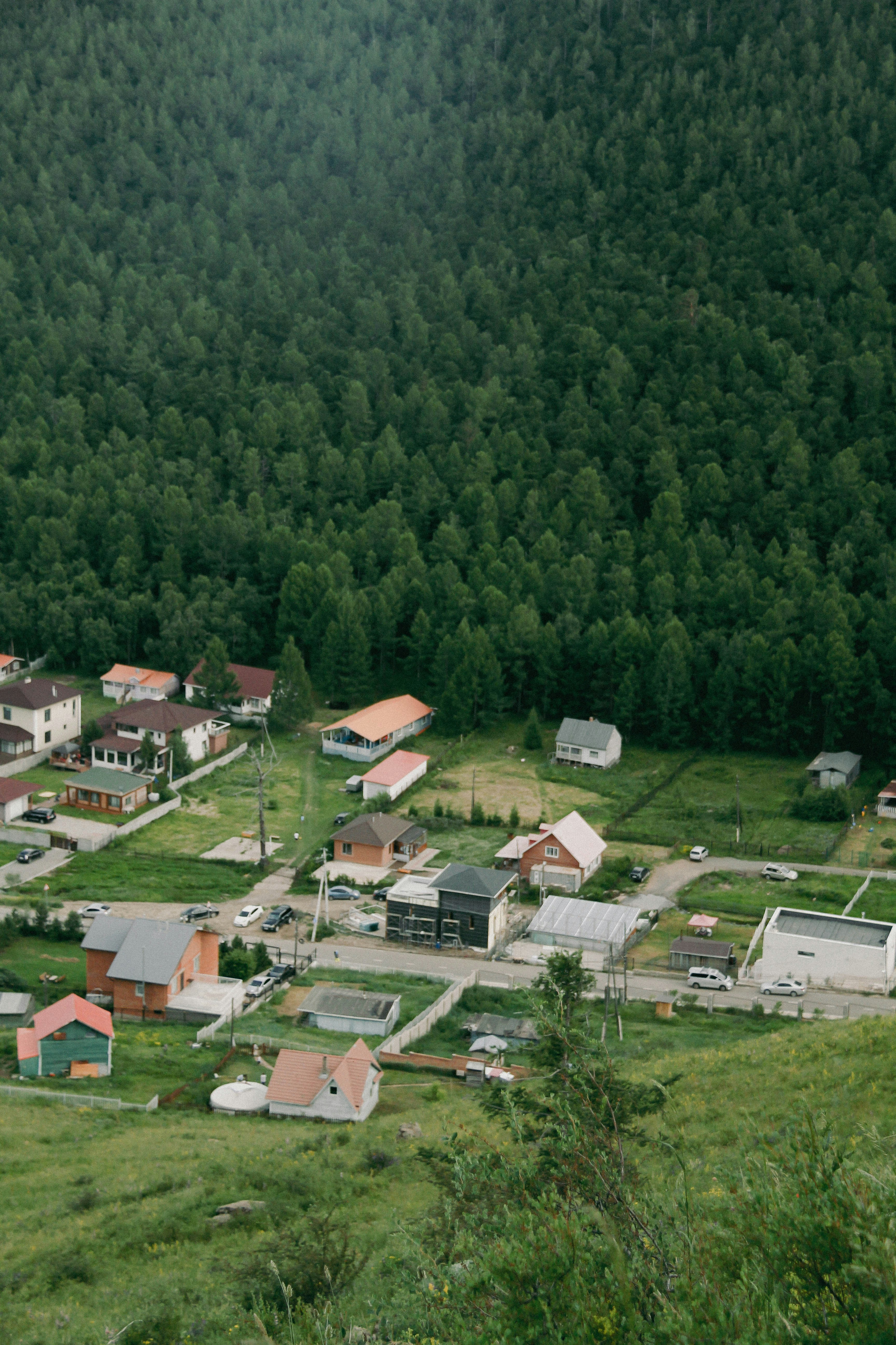 Aerial view of a tranquil village nestled among dense pine forests, showcasing diverse architecture and lush greenery.