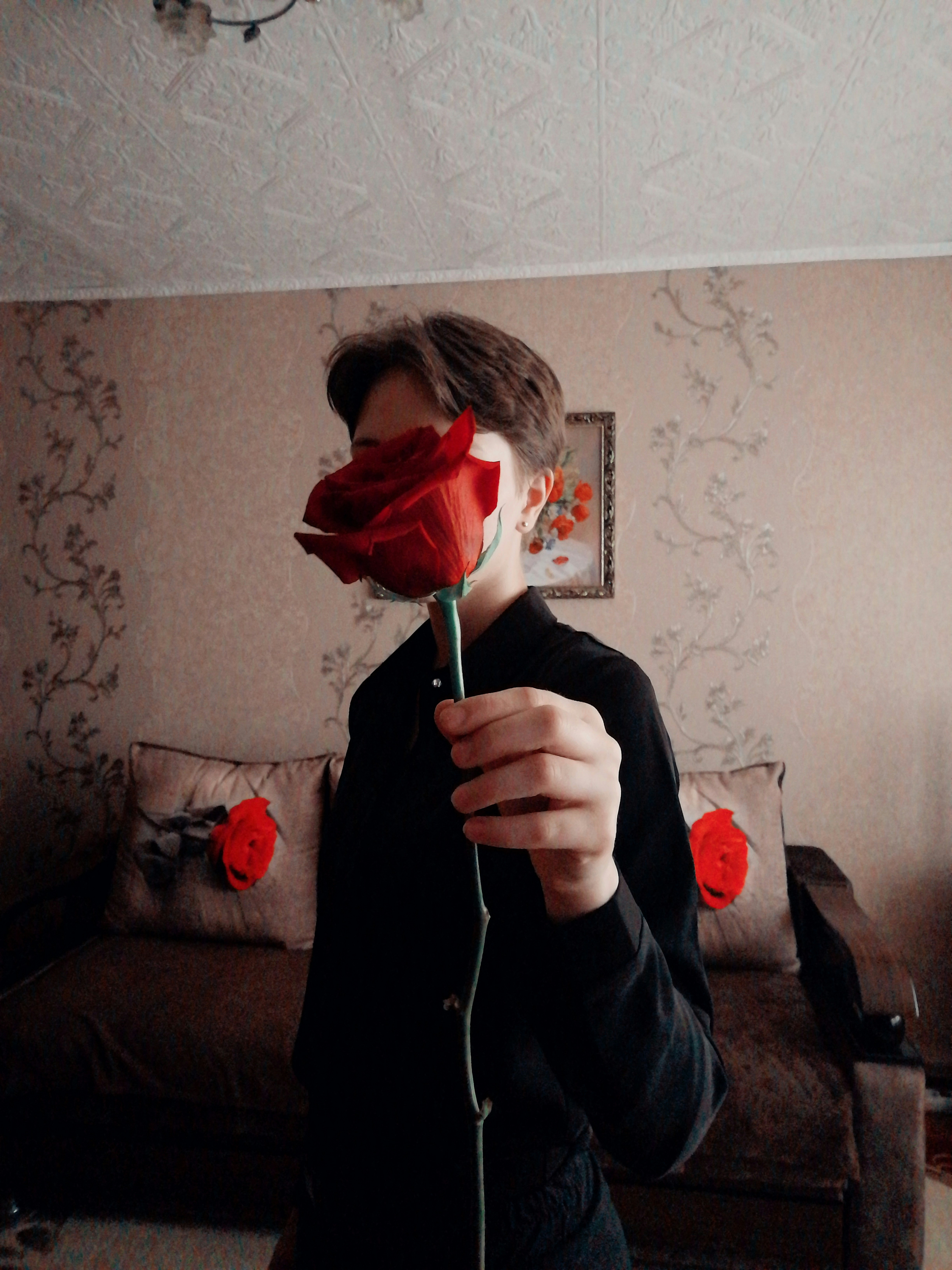 Portrait photograph of a person in a dark shirt presenting a red rose toward the camera in a cozy living room with rose-pattern cushions.