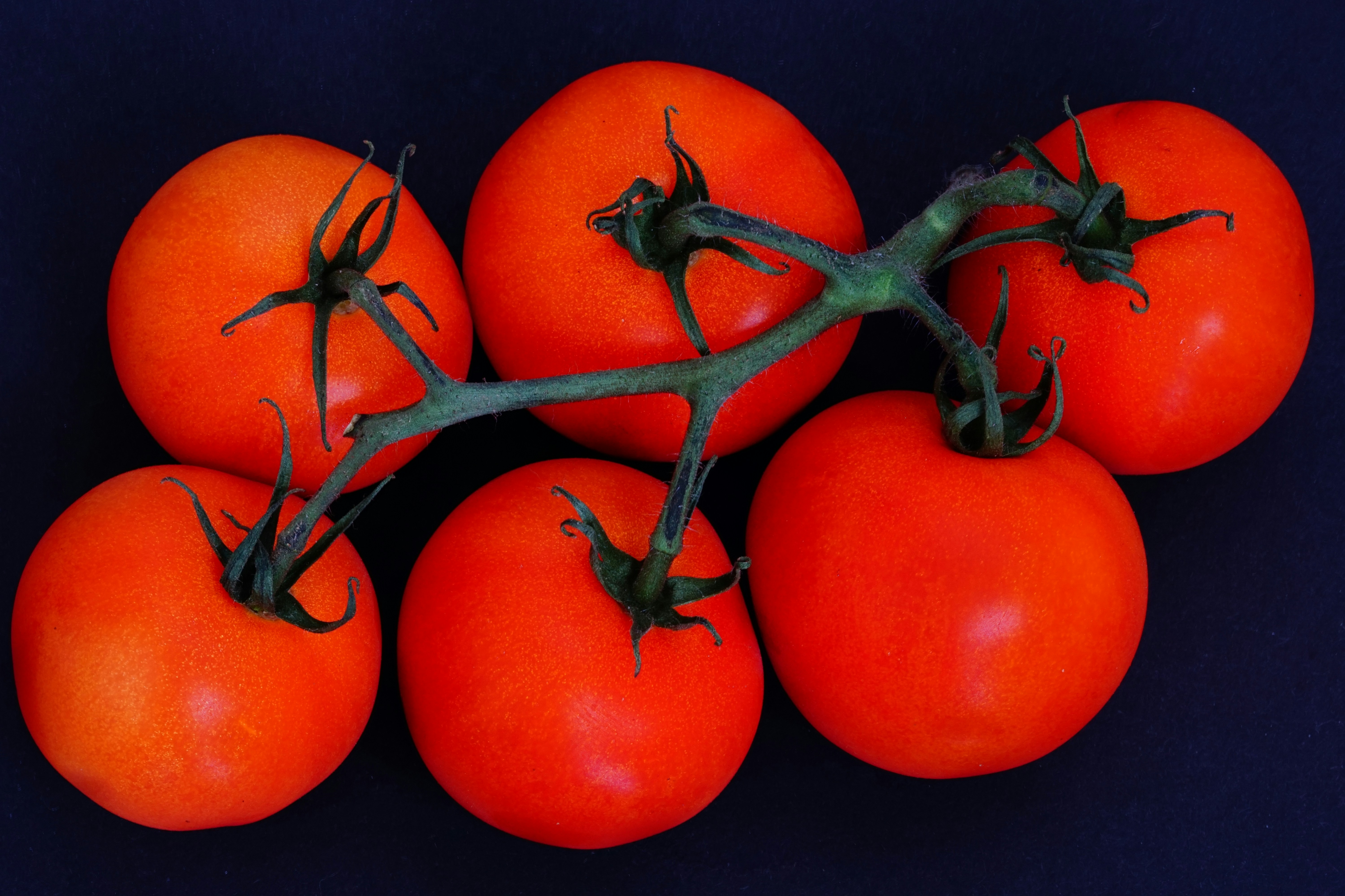 Cluster of ripe, red tomatoes on a dark background, showcasing their freshness and natural sheen.