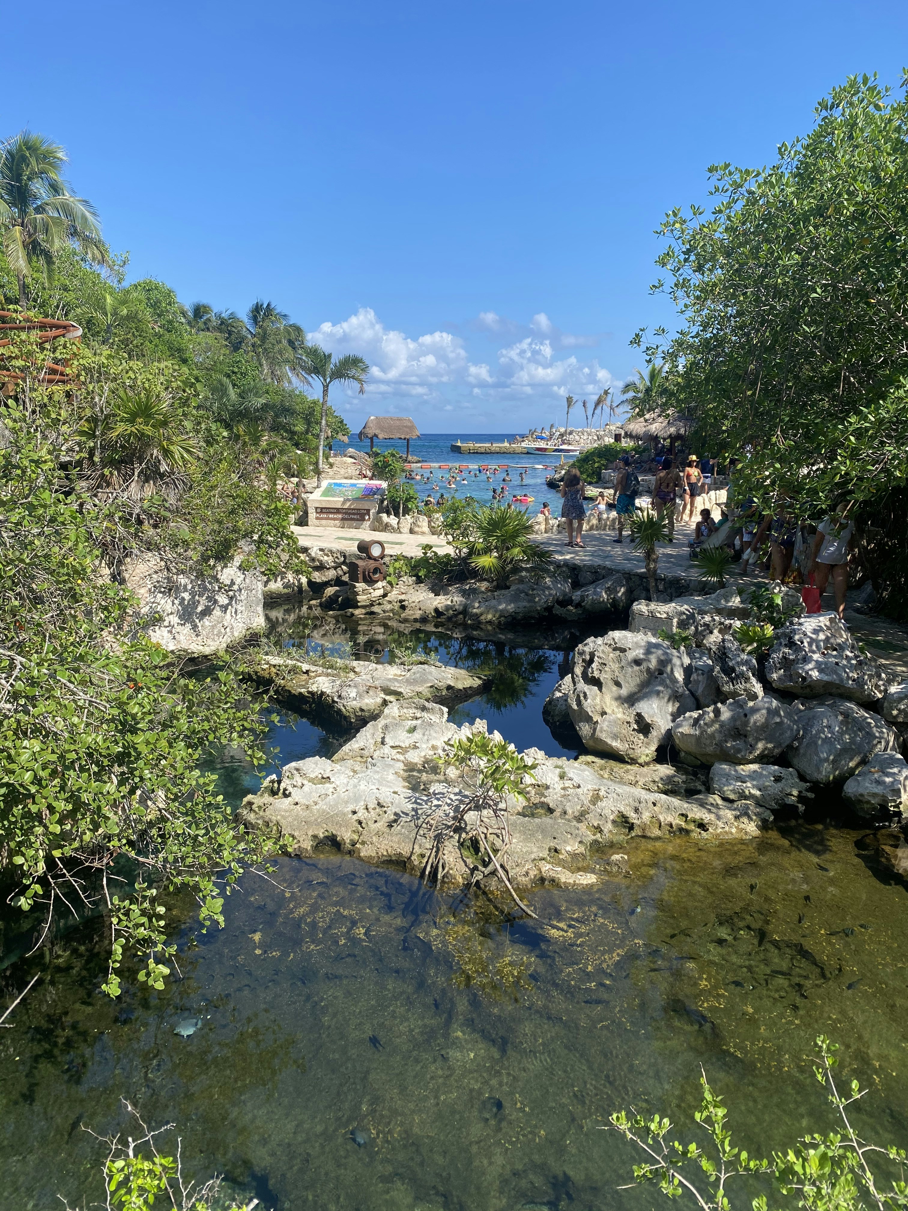 A vibrant coastal scene featuring rocky outcrops and clear waters, surrounded by tropical vegetation and visitors enjoying the natural beauty. The sky is bright blue with scattered clouds.