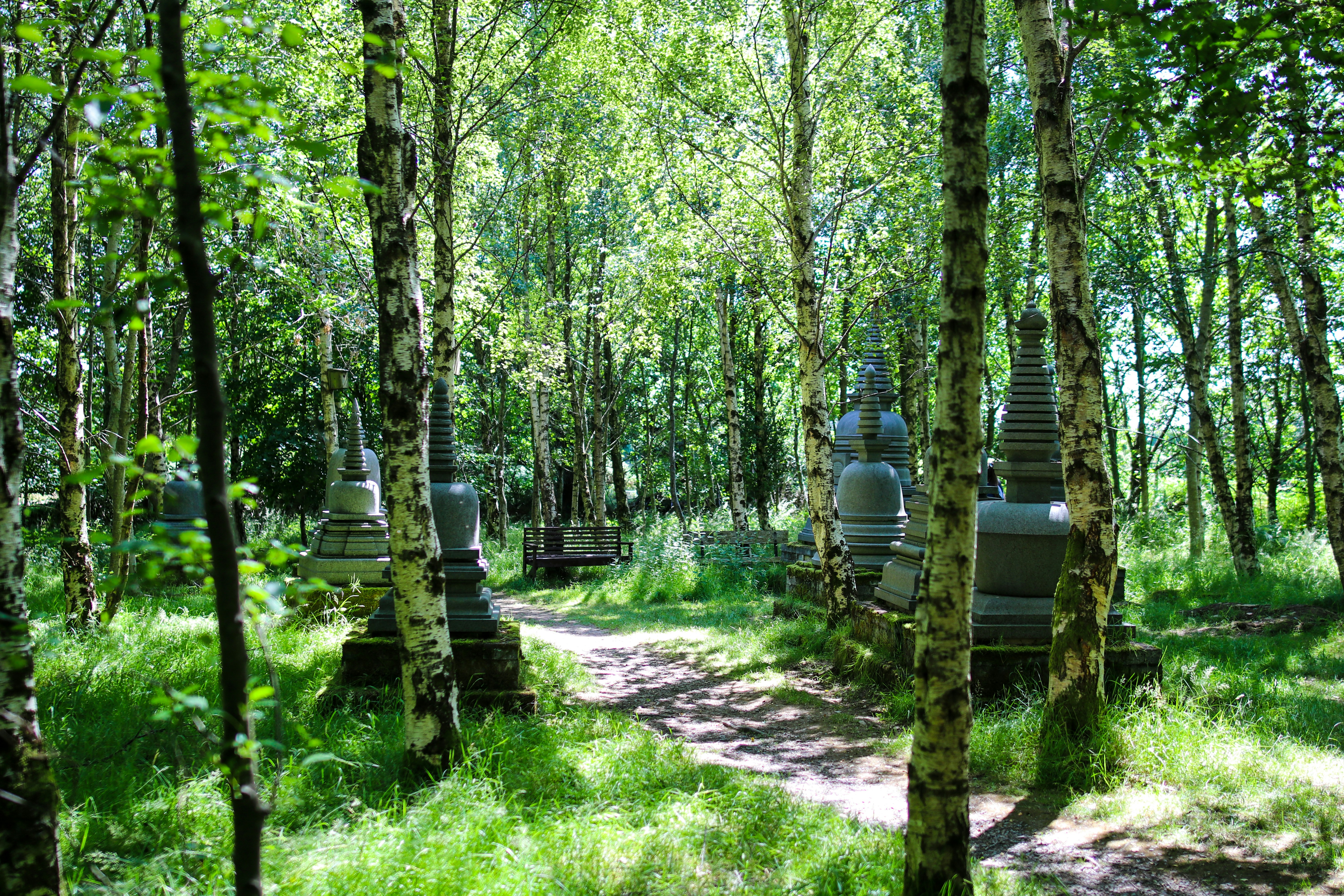 Stone stupas nestled among birch trees along a sunlit forest path.