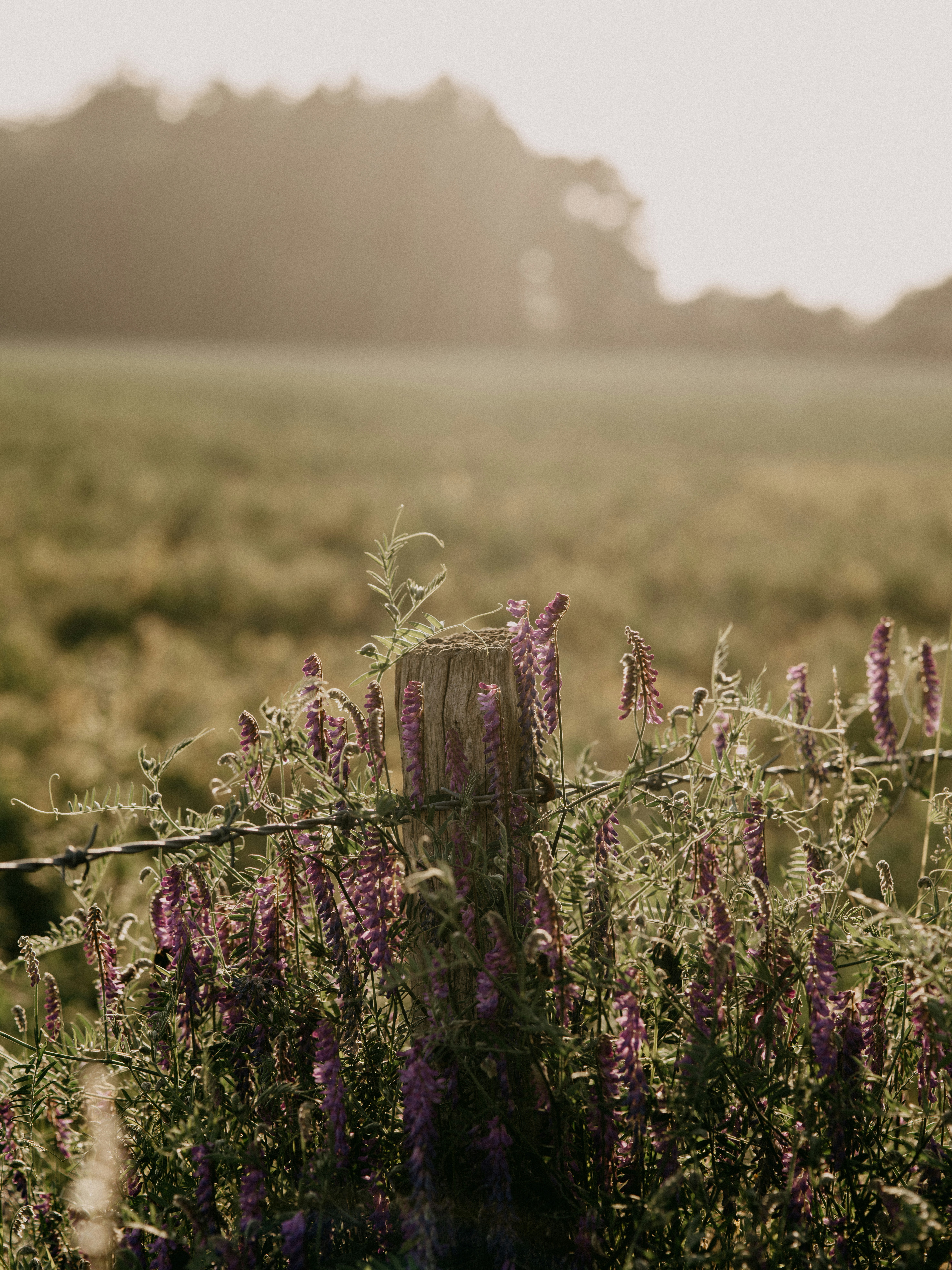 THE RUGGED NATURE OF REGRET - WRITING THAT CHANGES YOU