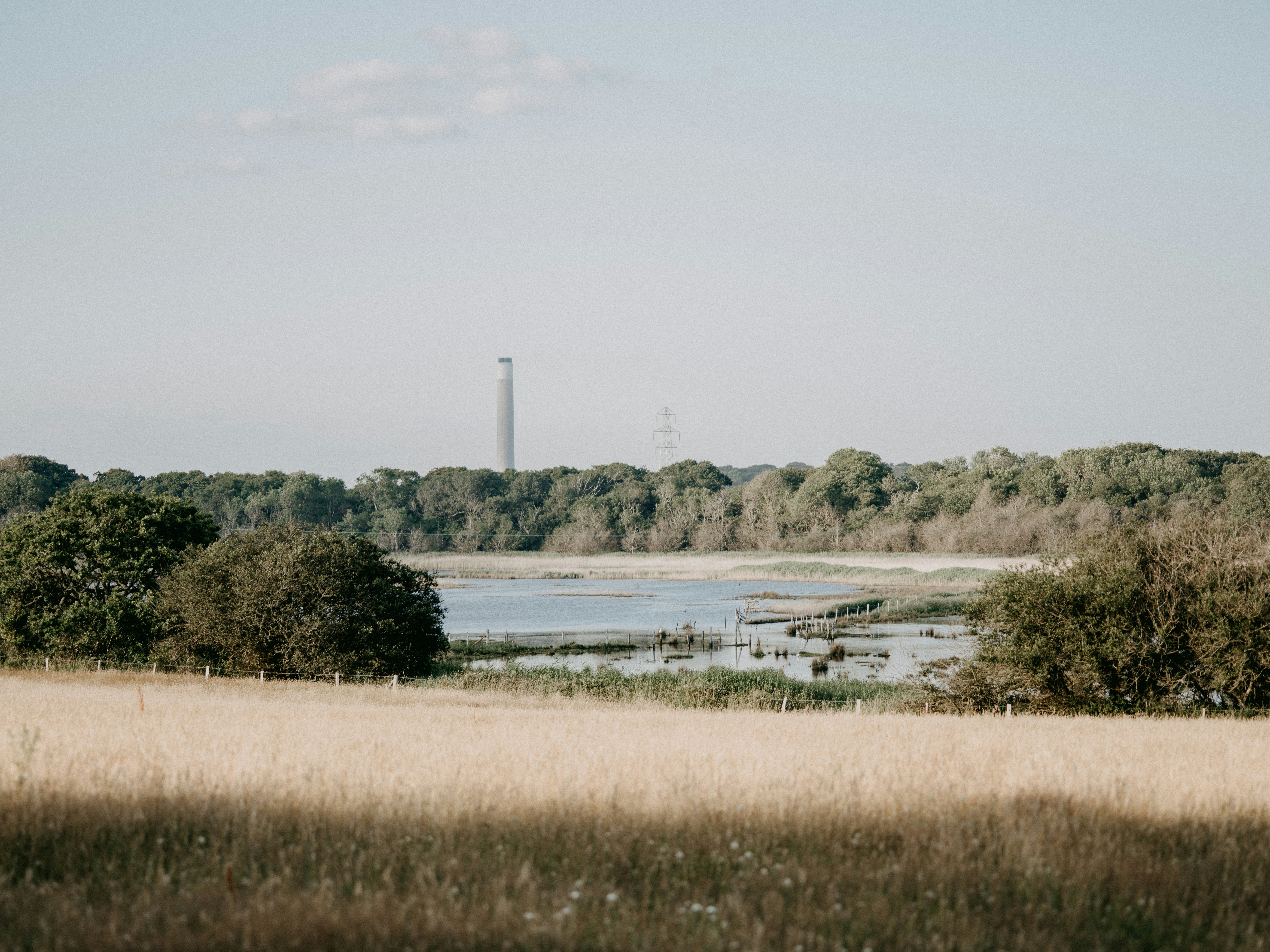 Lush greenery surrounds a tranquil estuary, with a distant smokestack rising above the horizon. The golden grasses in the foreground lead the eye toward the calm water.