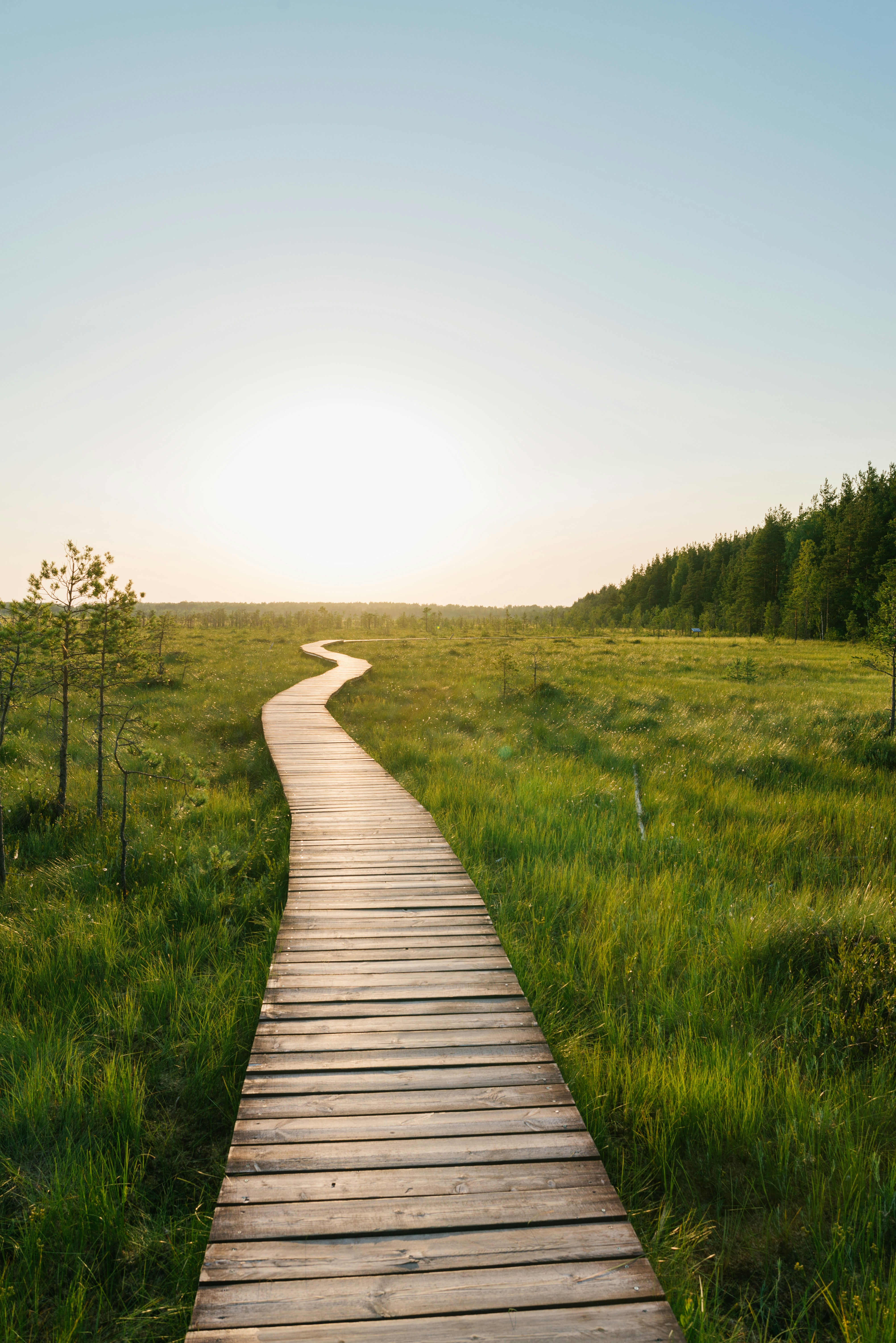 Brown wooden pathway between green grass field during daytime photo ...