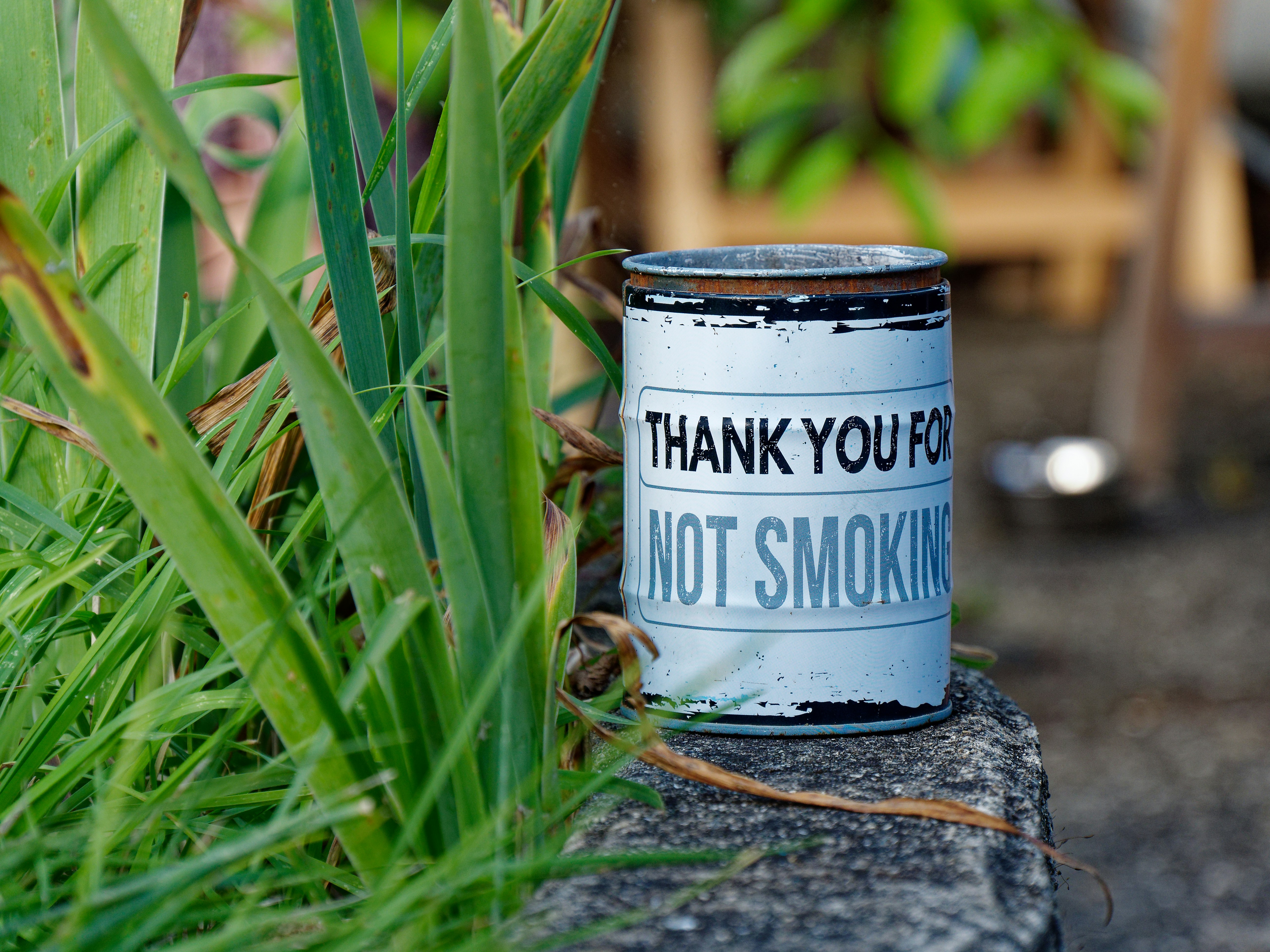 A Gentle Reminder Amidst Nature's Embrace