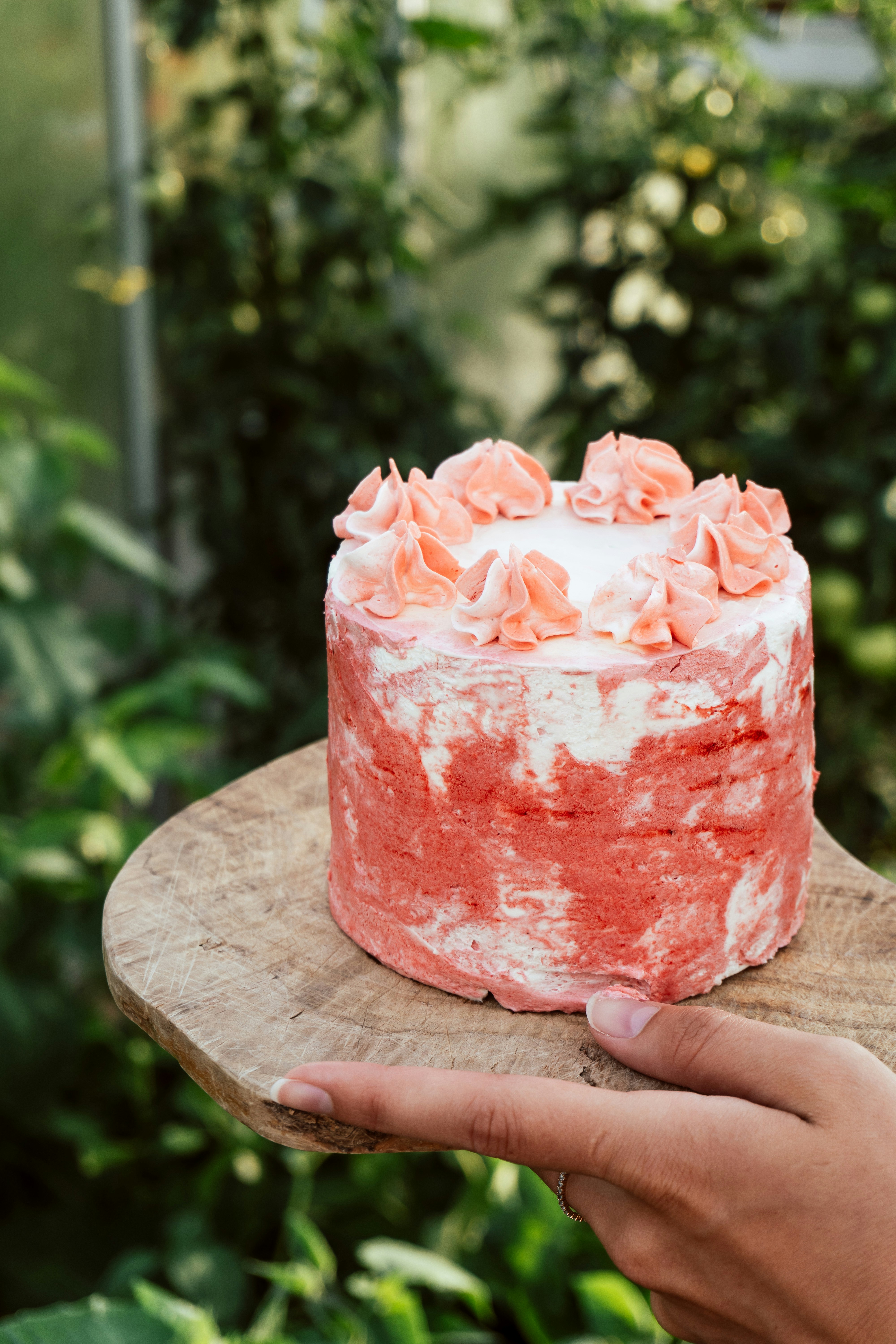 Delicately frosted cake with pink and white icing, held on a wooden platter amidst lush greenery.