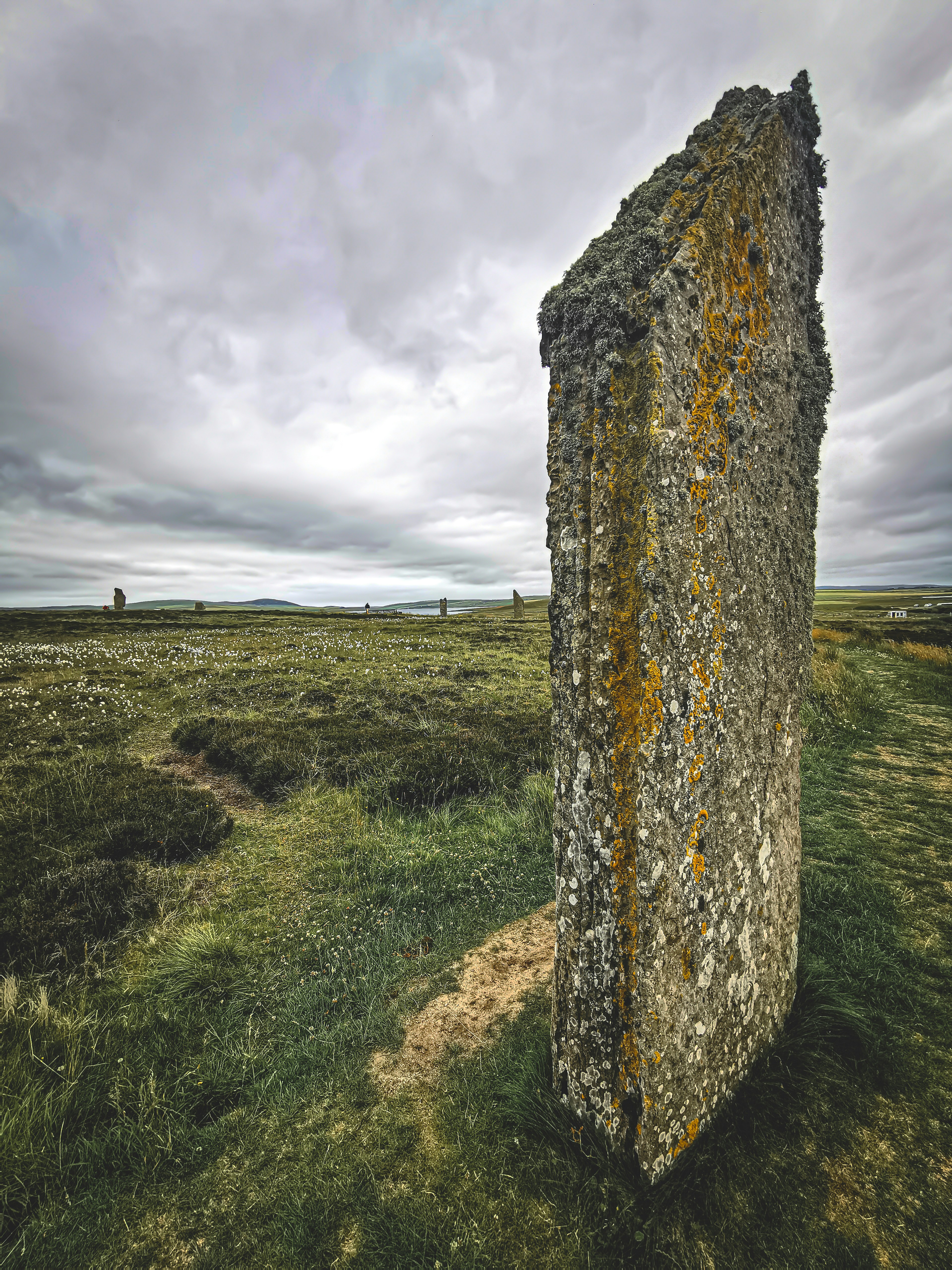 Ryan Denny (@thedenny) | Comunidad de fotos de Unsplash