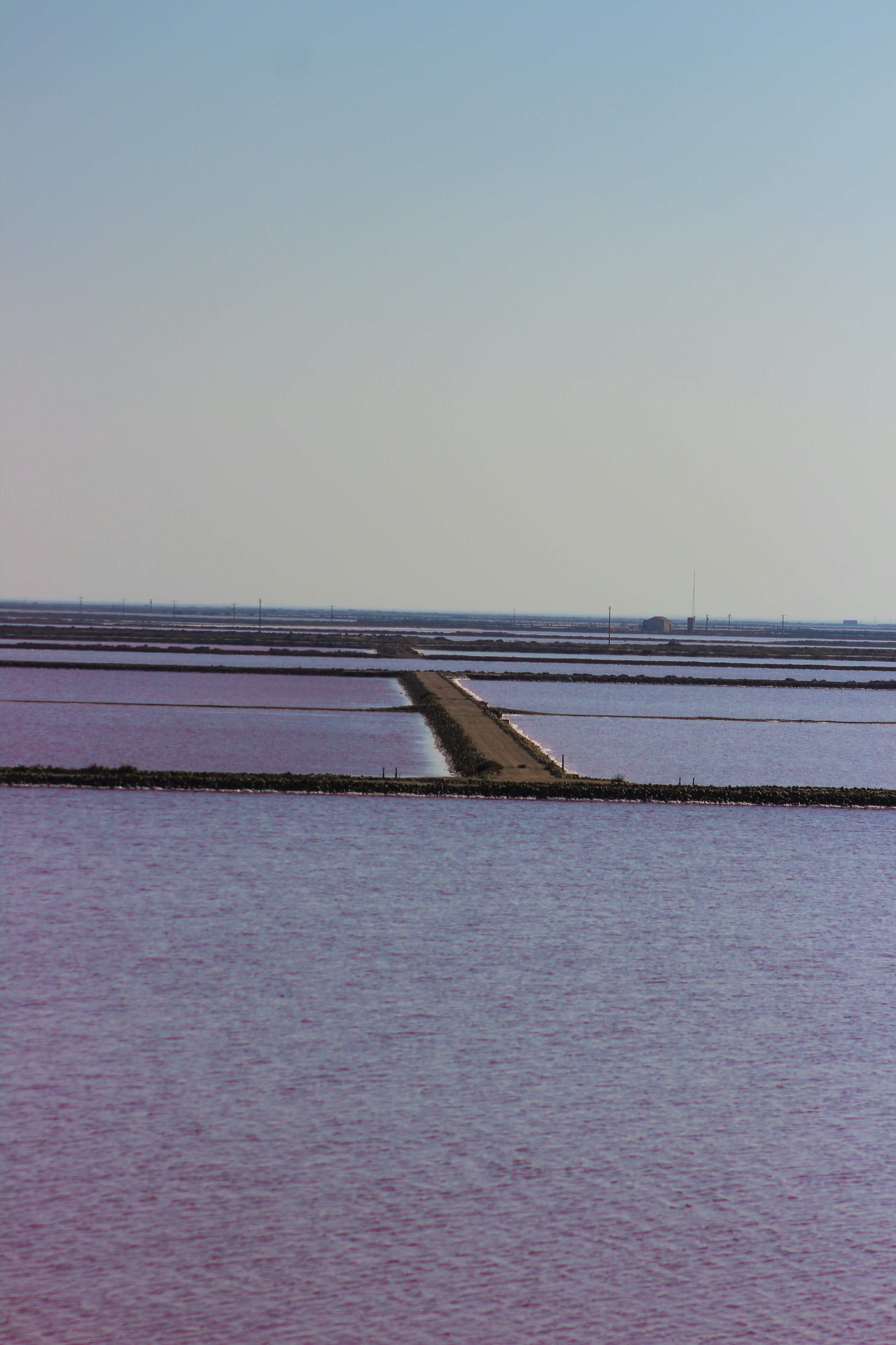 Salted Horizons: A Path Through Pink-Violet Flats