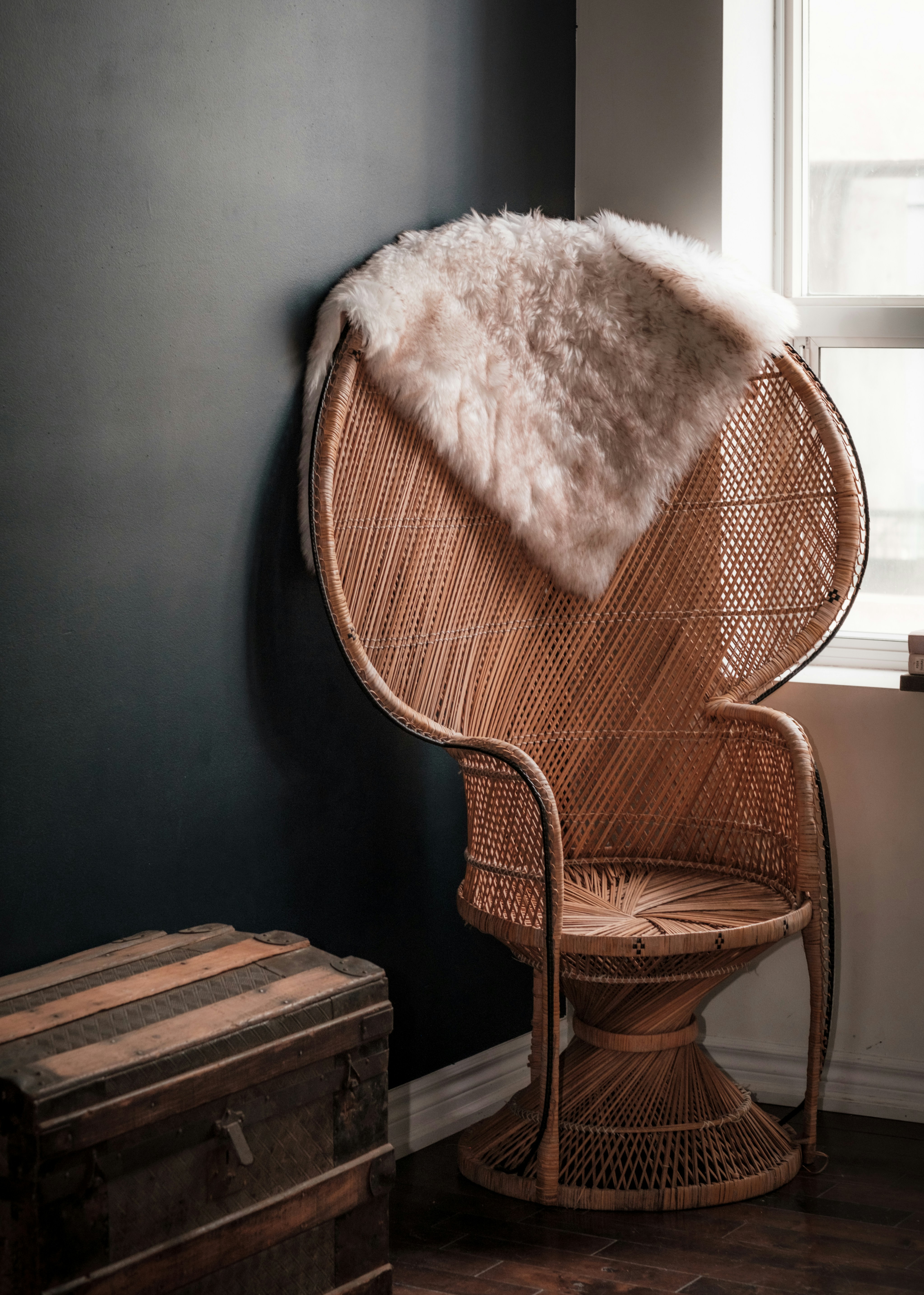 Sunlit Wicker Chair in a Quiet Corner, Draped with Plush Fur