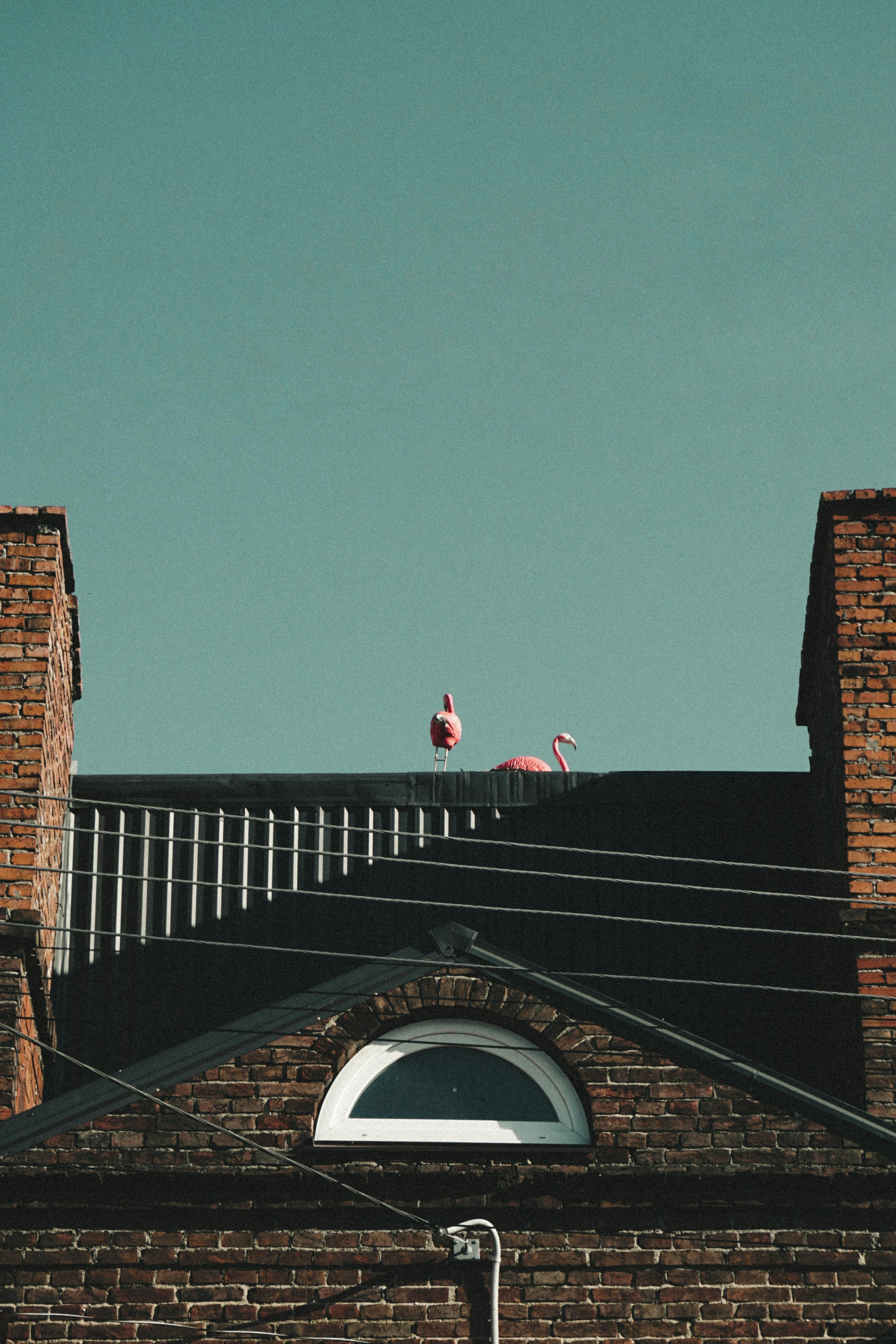 Rooftop Silhouette: Flamingo Figures Guard a Brick Crest