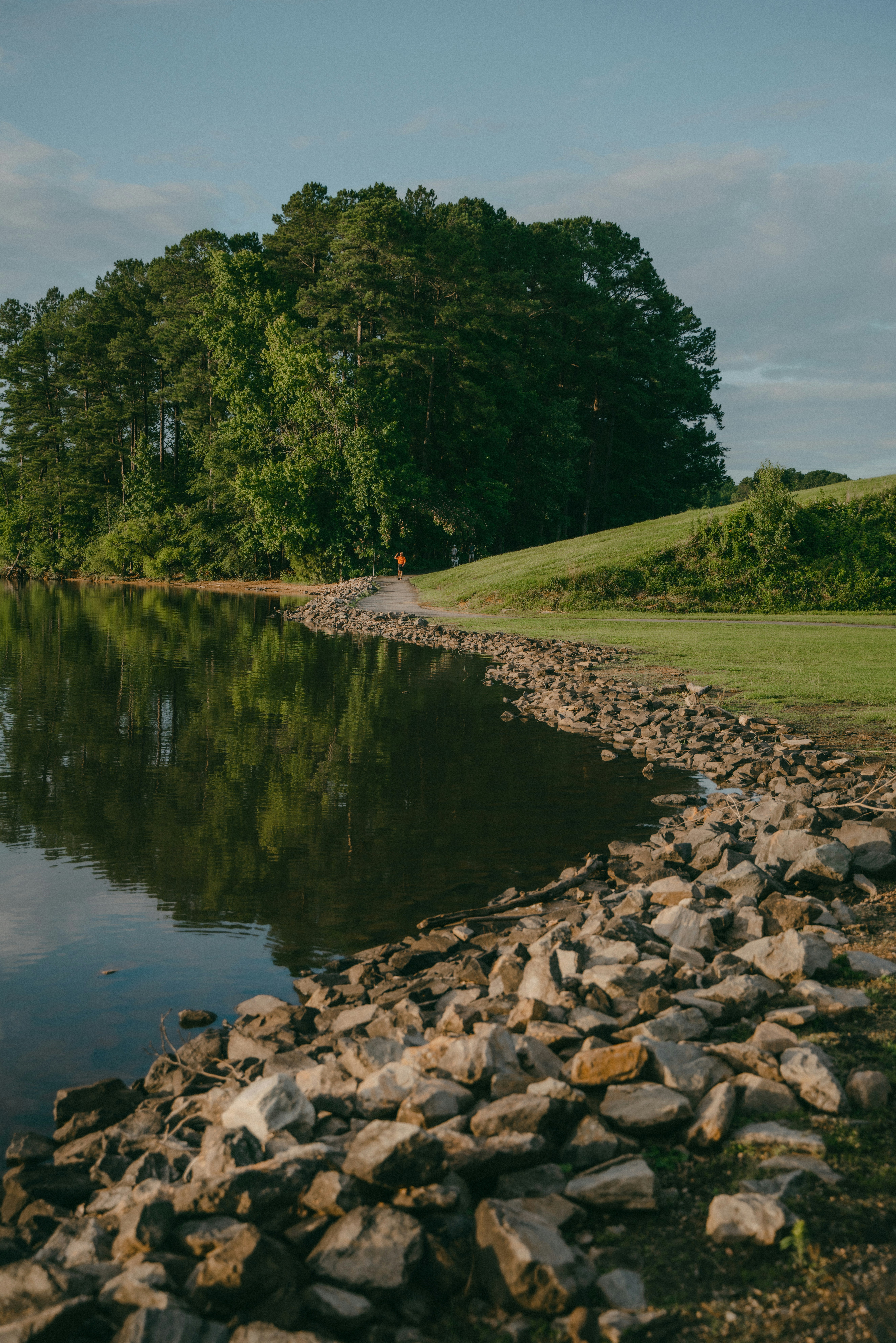 Green trees beside river under blue sky during daytime photo – Free ...