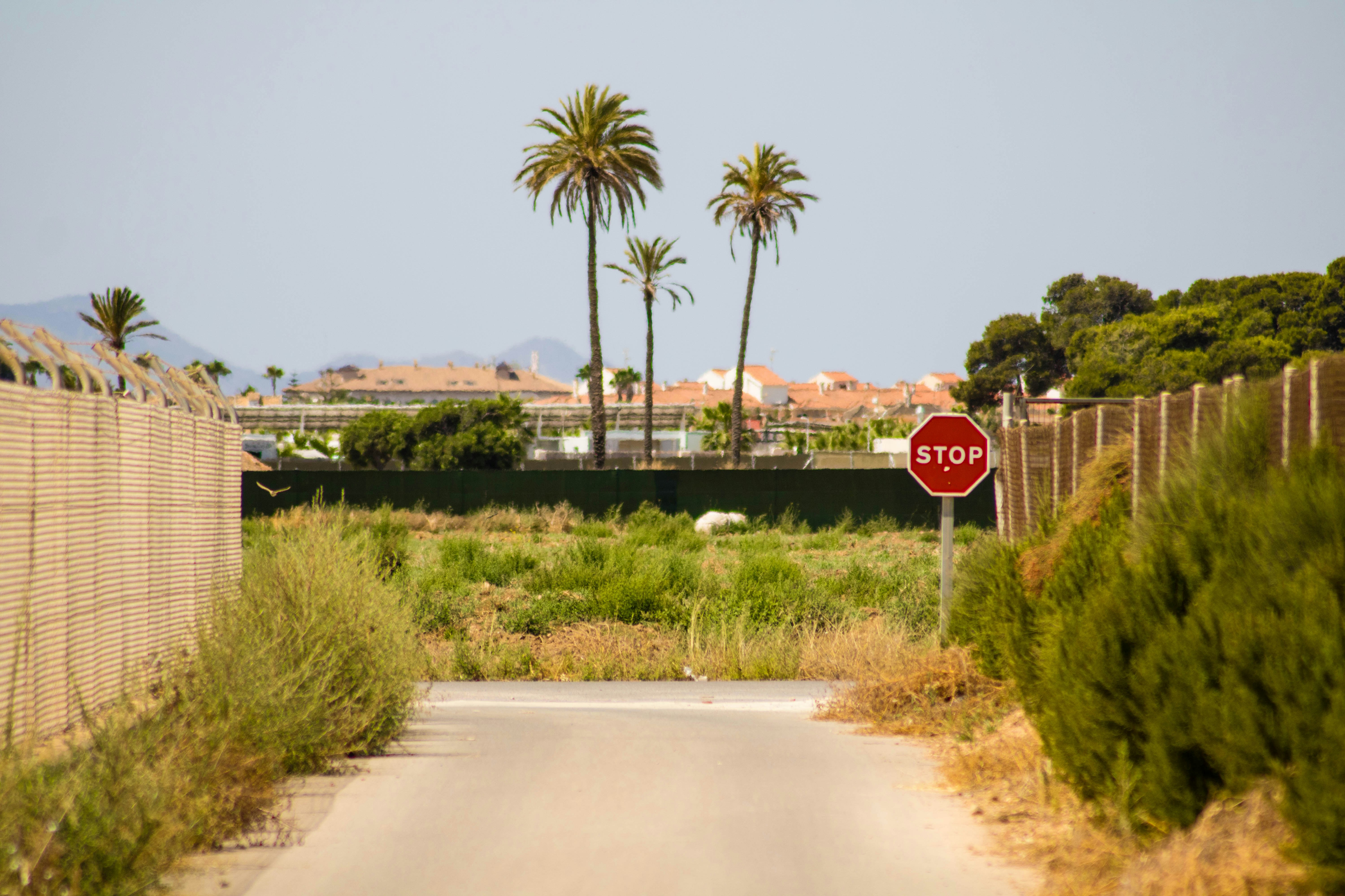 Red Stop Sign at the End of a Sun-Burnished Path