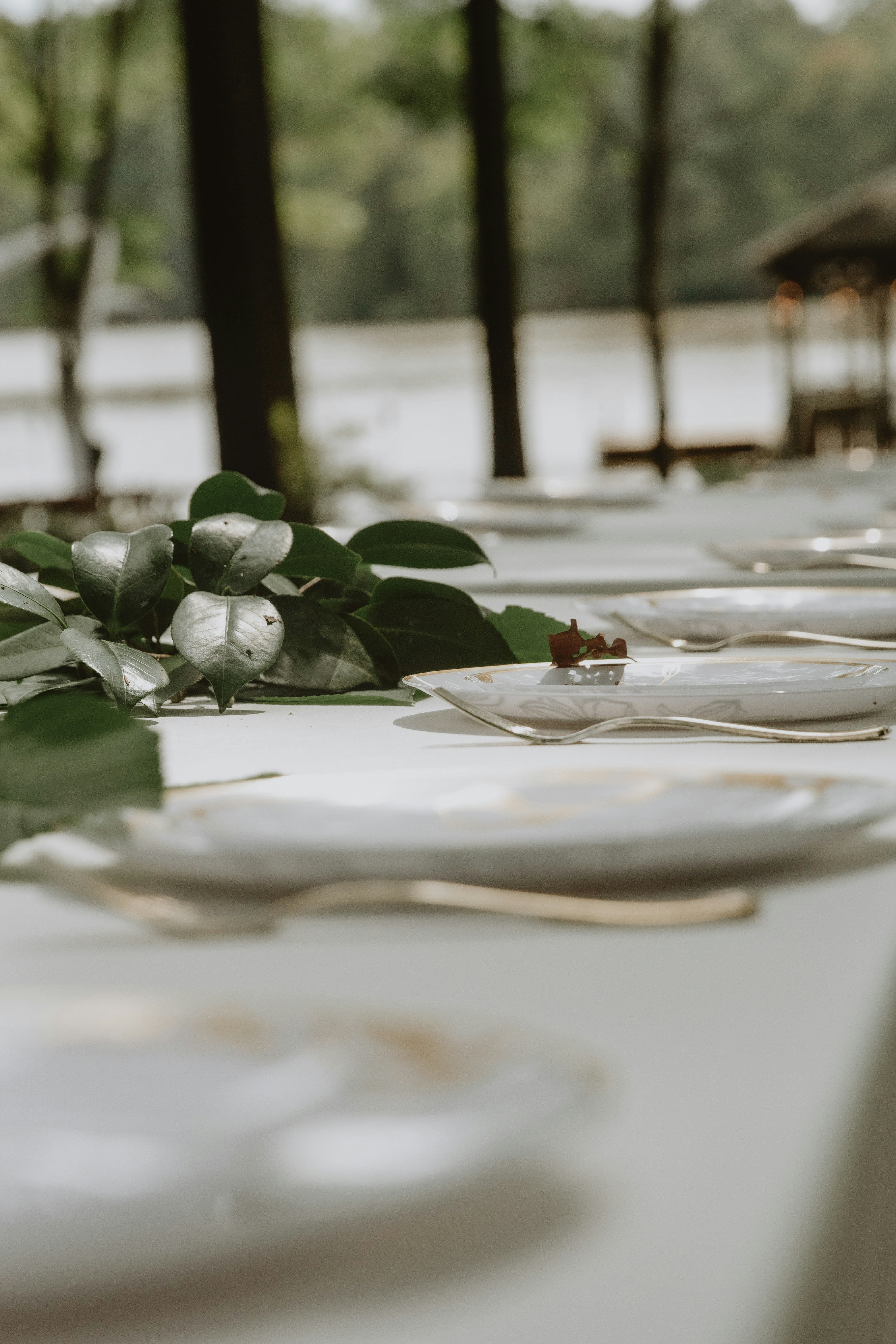 A beautifully arranged table with fine china and greenery, set against a tranquil lakeside backdrop. The scene evokes a sense of elegance and serenity.