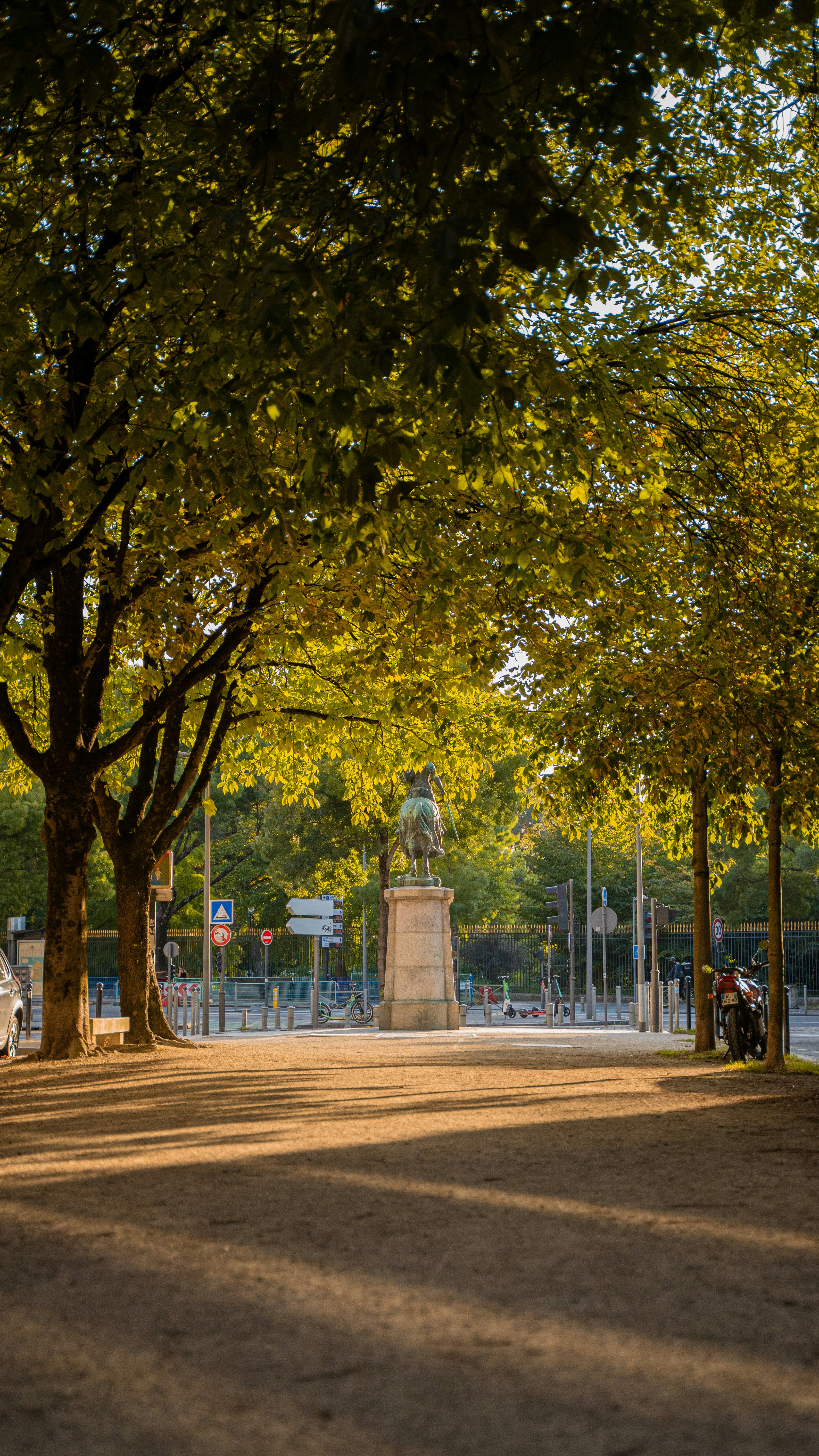 Sunlight filters through trees lining a pathway leading to a distant statue.