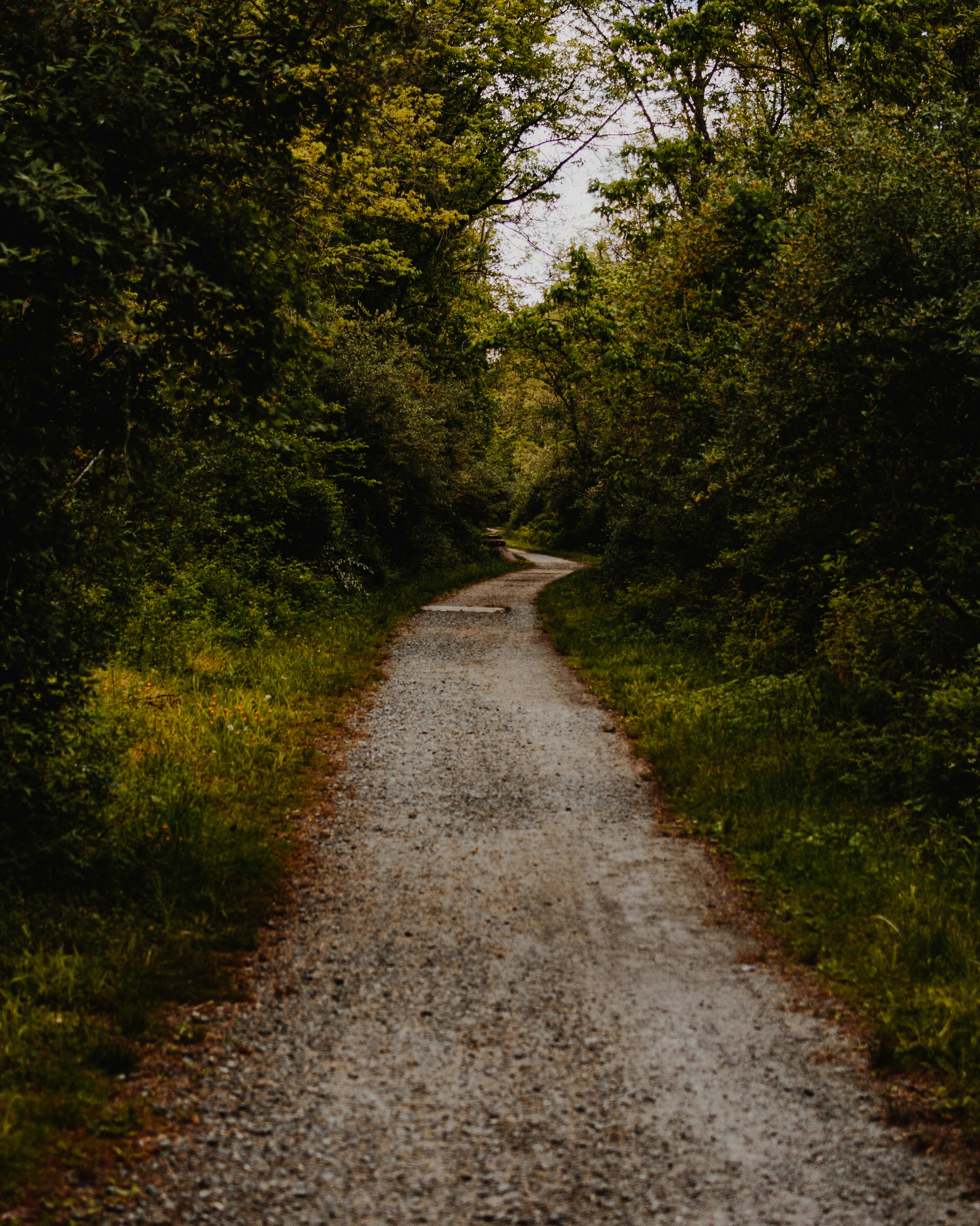 Gravel path meandering through lush greenery, inviting exploration under a cloudy sky.