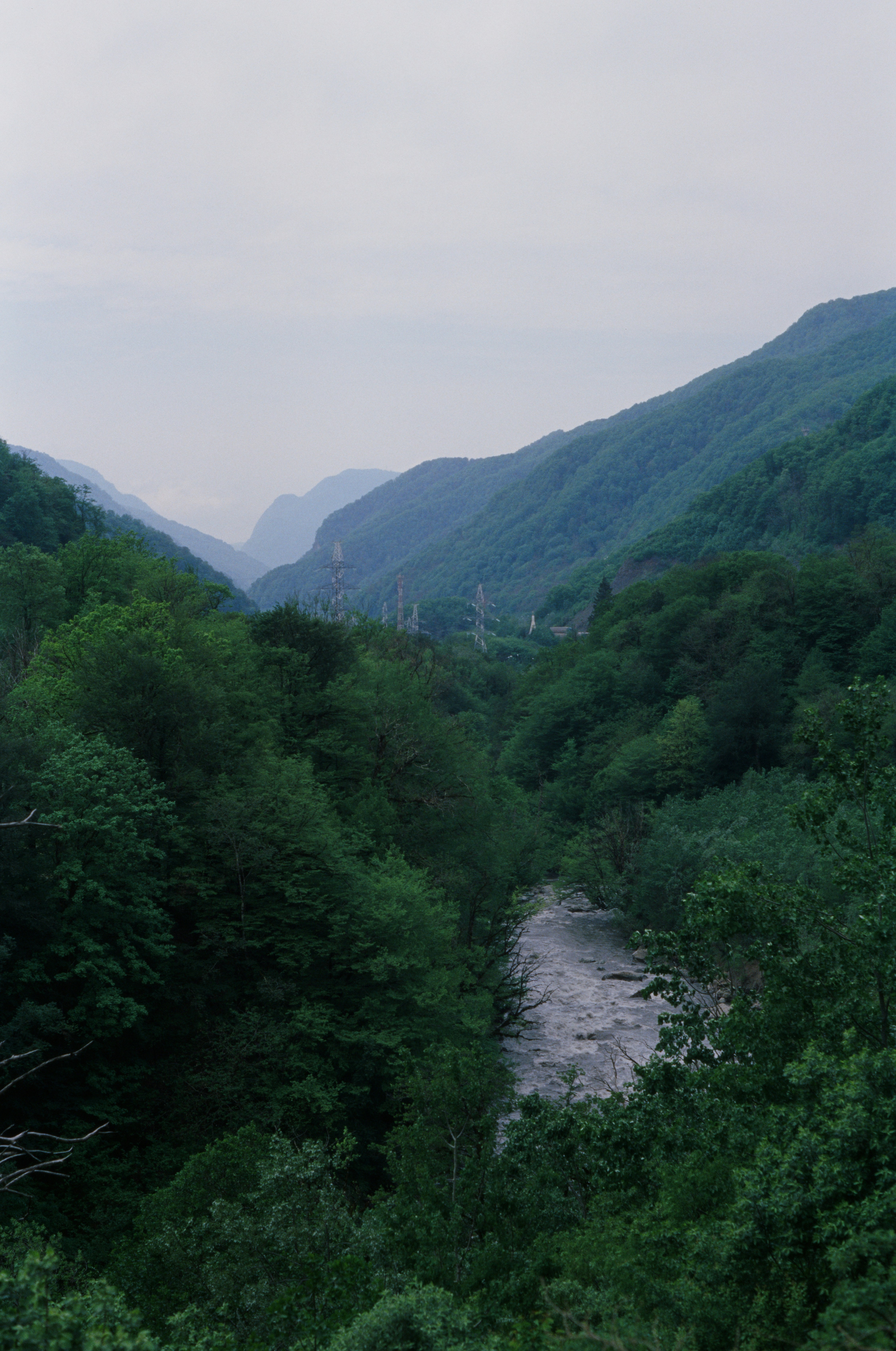 Lush green valley with a river winding through dense forests and distant mountains under a cloudy sky.