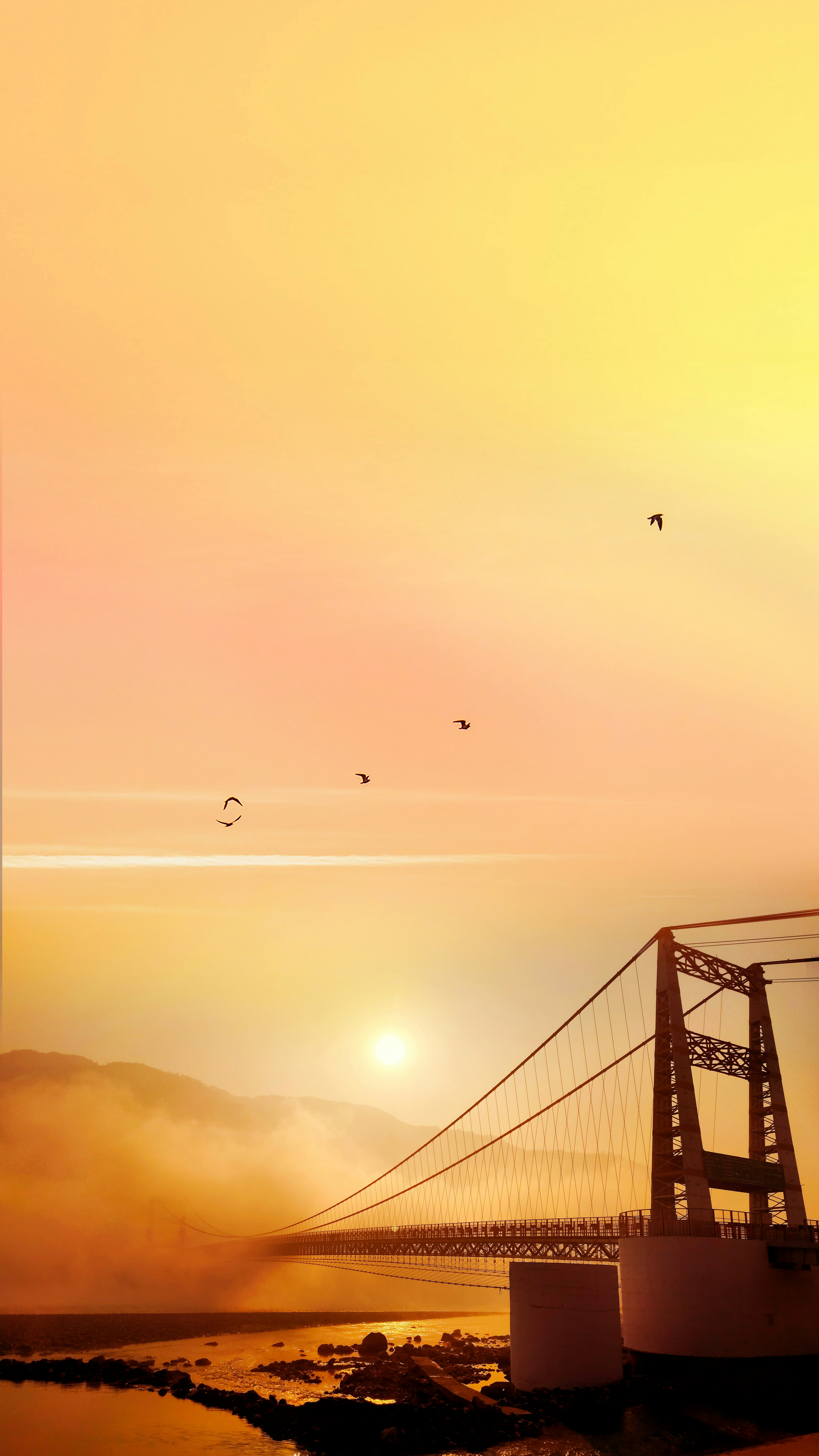 Golden gate bridge during sunset photo – Free Rishikesh Image on Unsplash