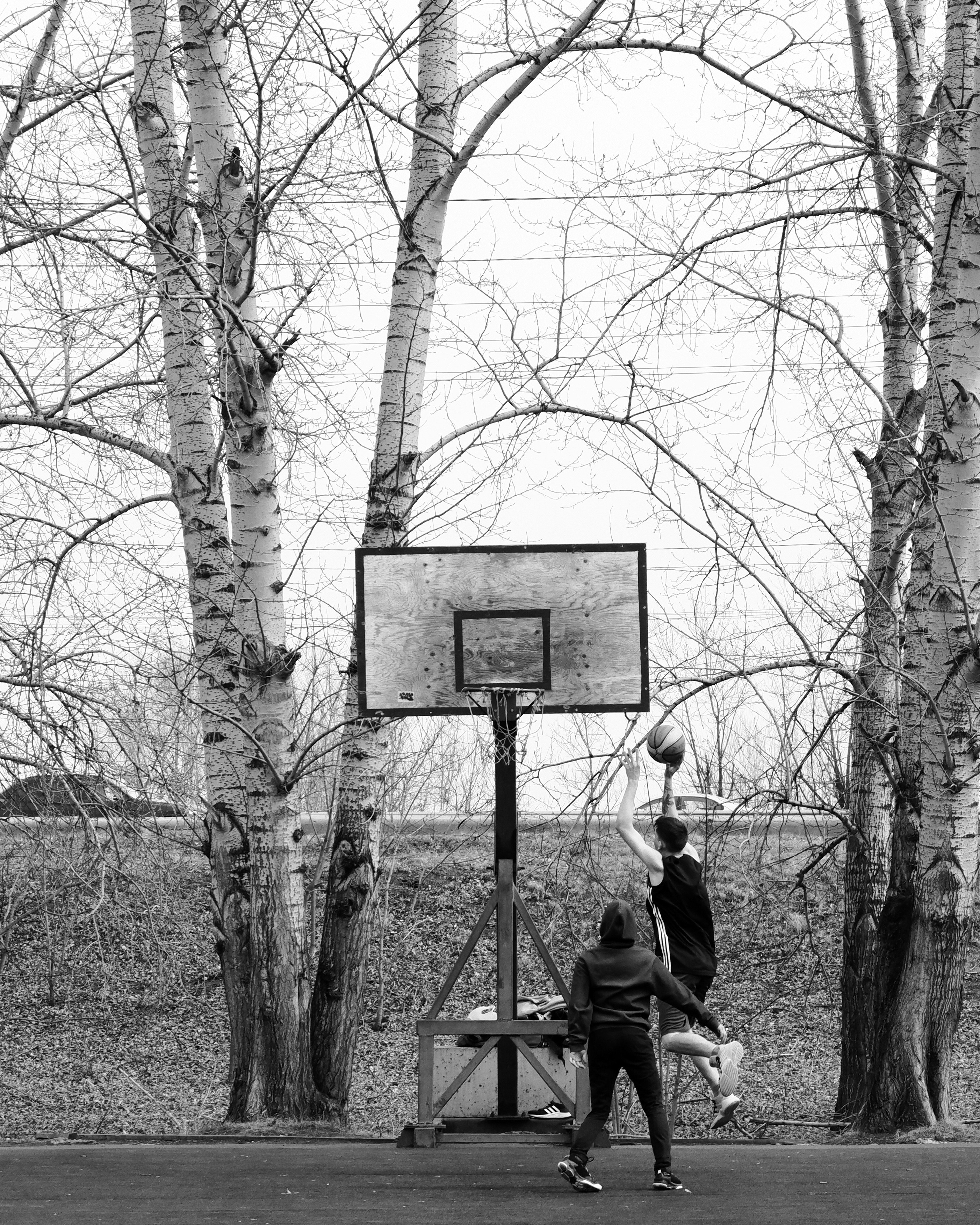 Bare-Tree Court: A Quiet Outdoor Hoop Moment