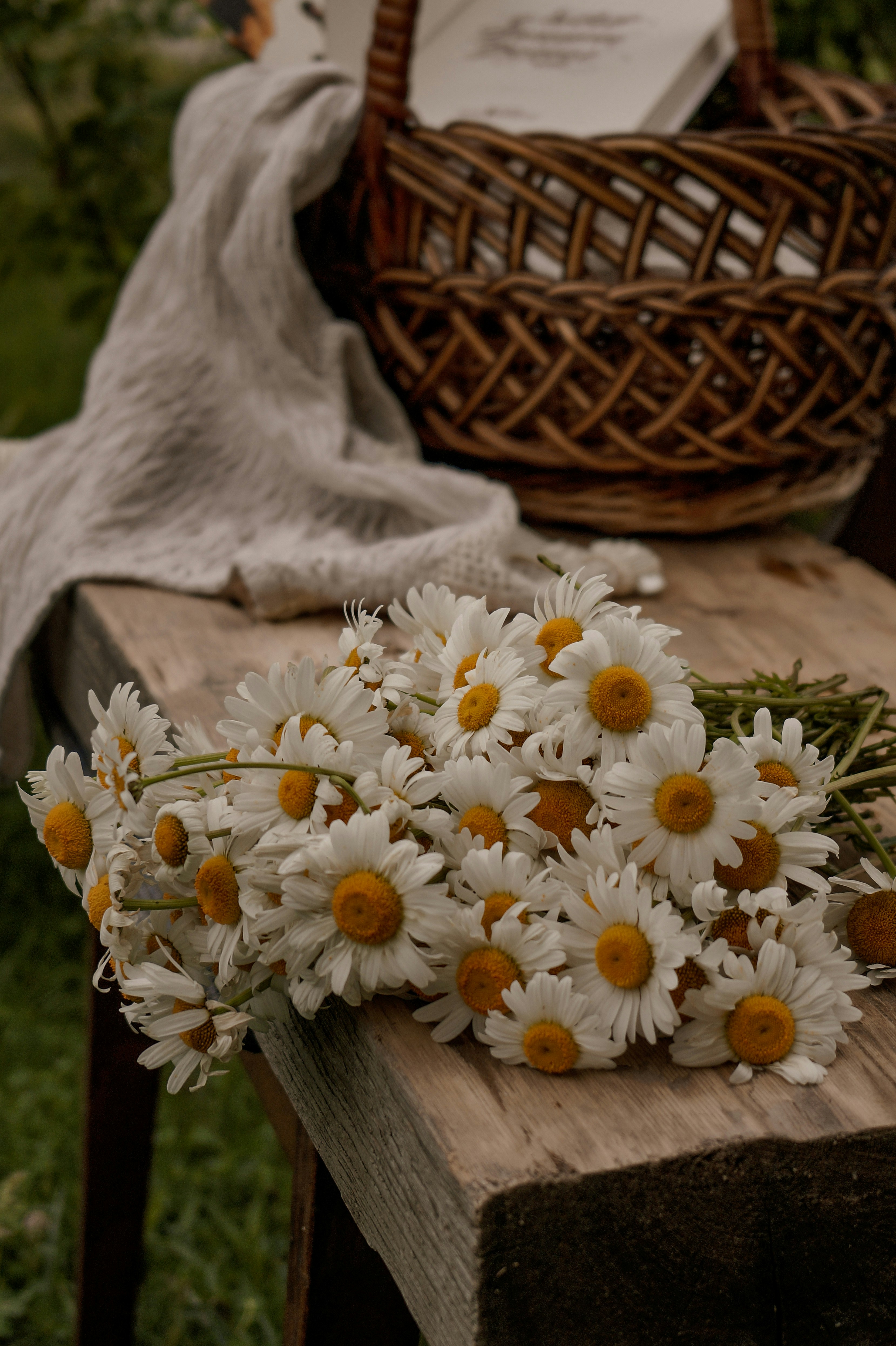 A bouquet of daisies rests on a rustic wooden table beside a woven basket, evoking a serene outdoor setting. Soft fabric drapes gently nearby.
