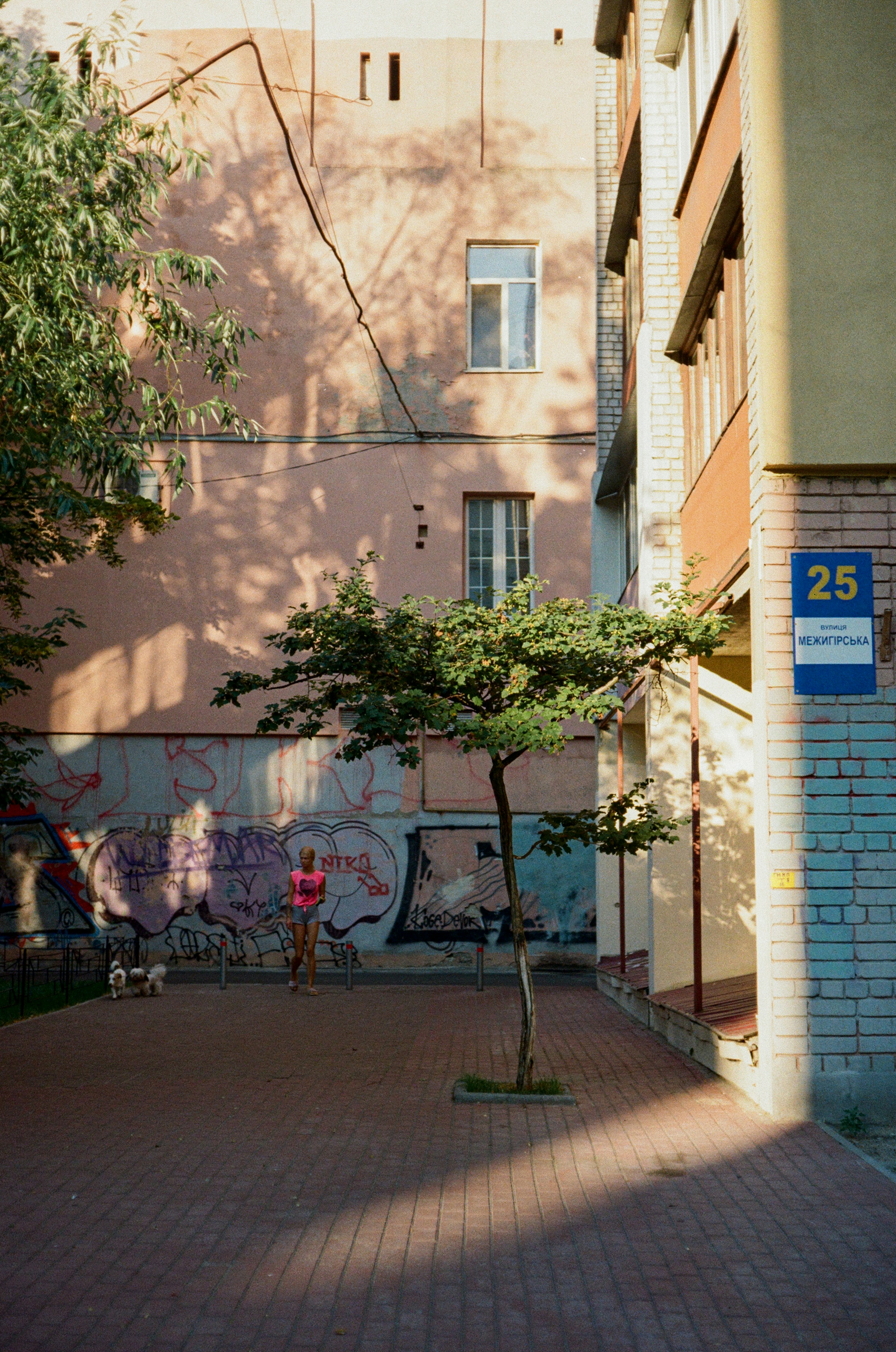 Pink-clad figure in a sunlit courtyard framed by graffiti and tree-dappled shadows